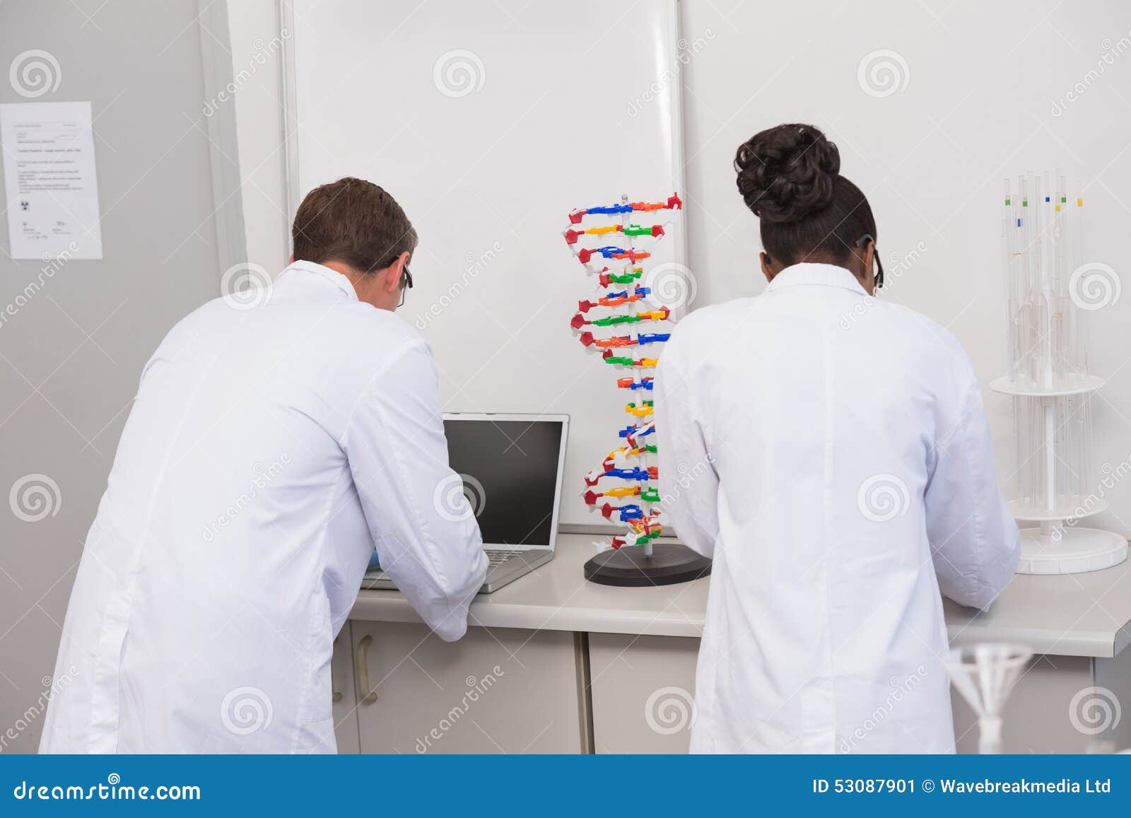 Scientists Working with Laptop Stock Image - Image of caucasian ...