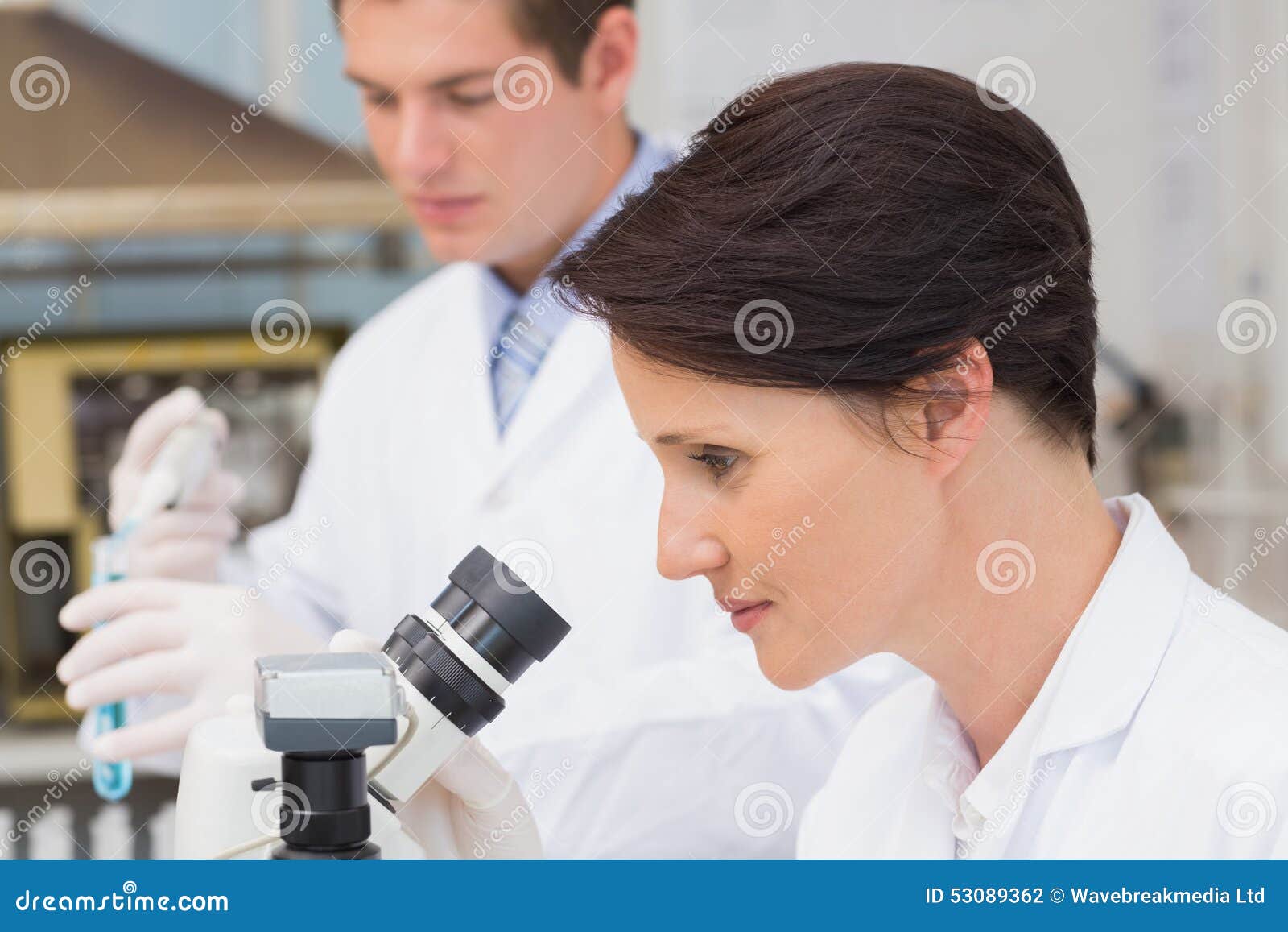 Scientists Working with Microscope and Test Tube Stock Photo - Image of ...