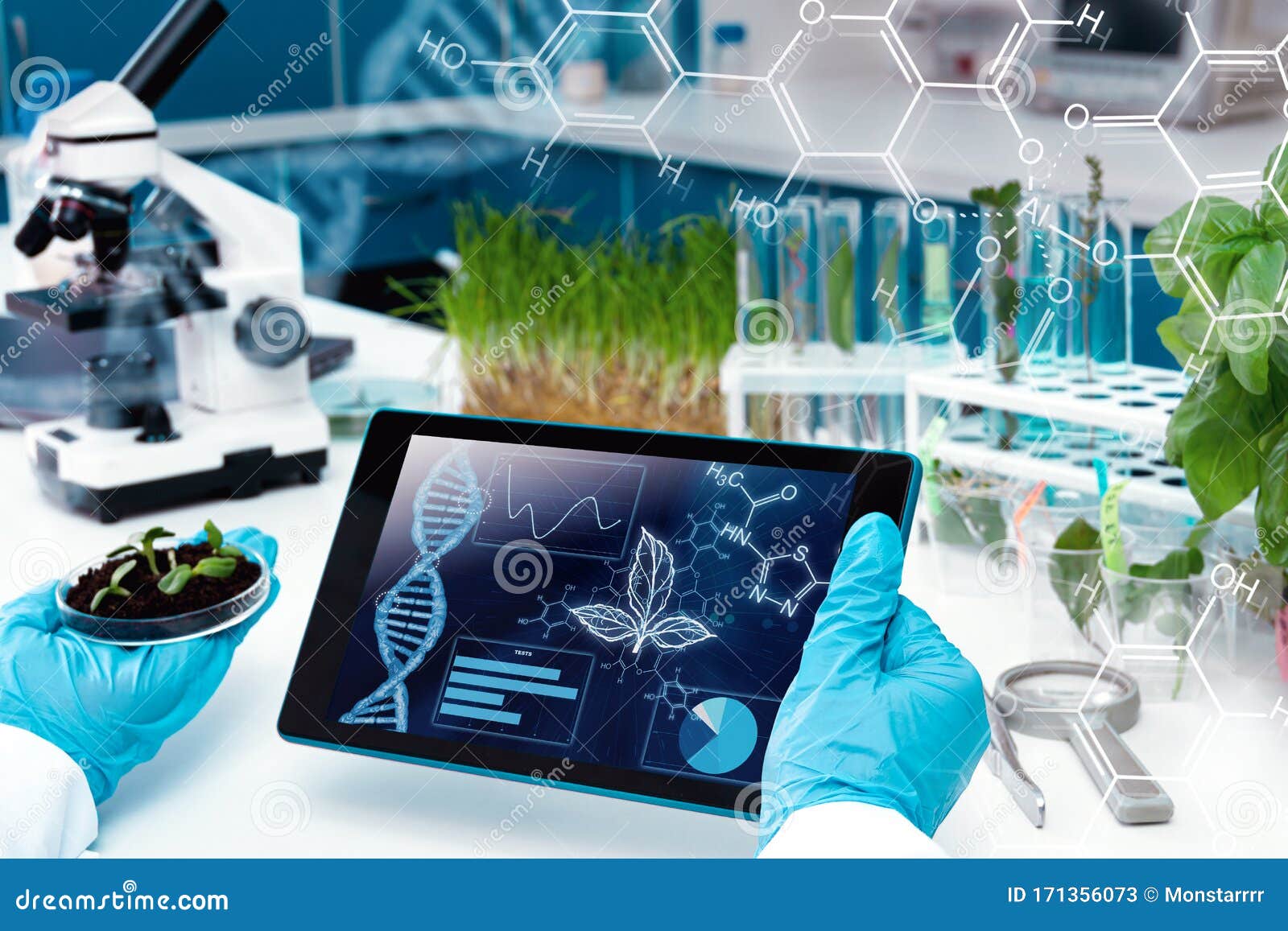 Scientists Working with Plants at Modern Laboratory Stock Image - Image ...