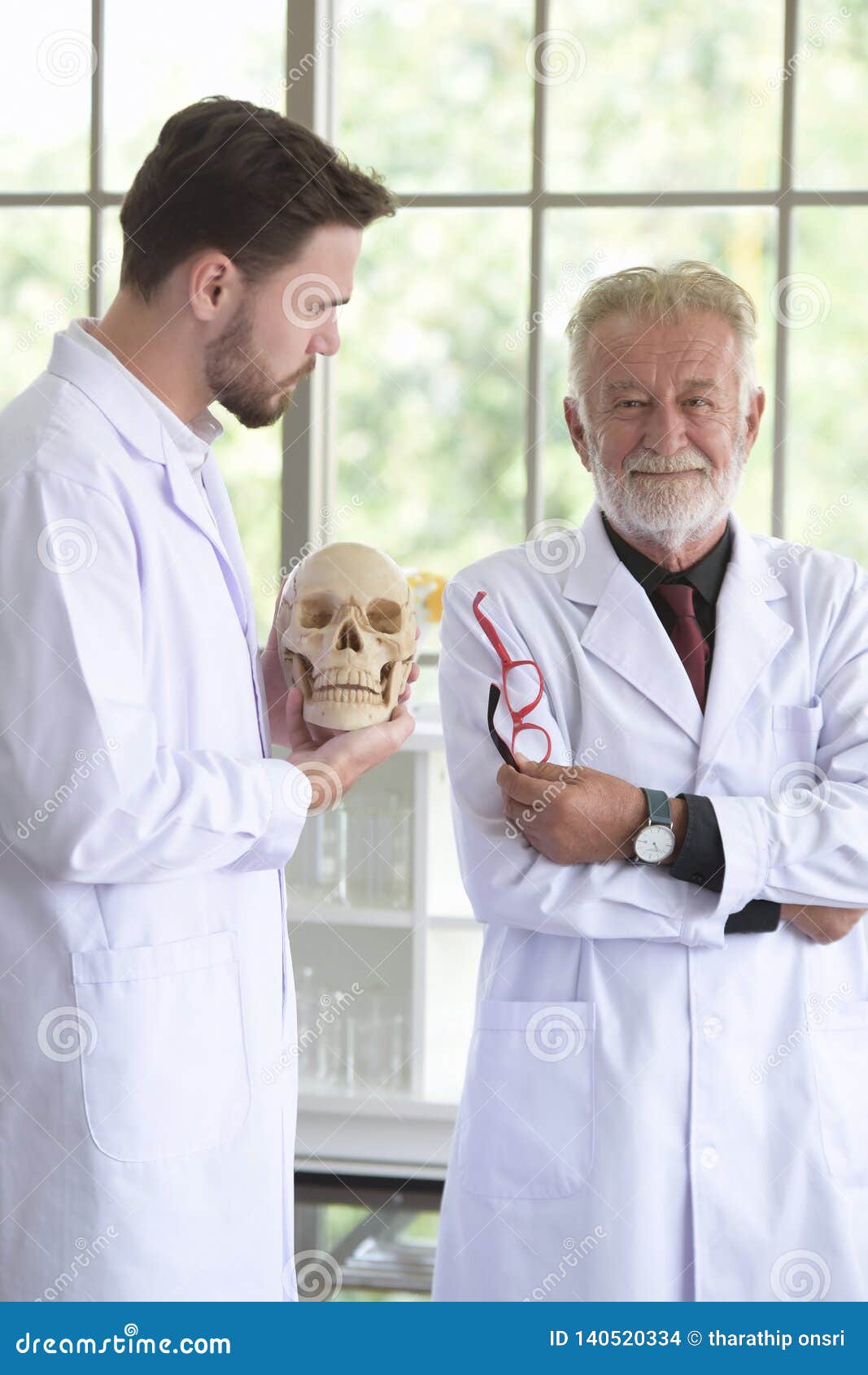 Scientists are Working in Science Labs.Close-up of a ScientistYoung ...