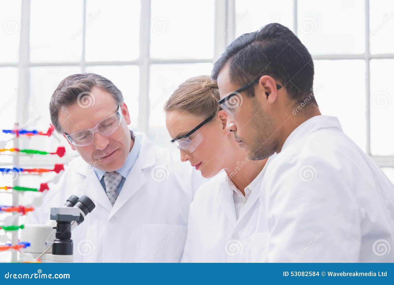 Scientists Working Together Stock Photo - Image of science, people ...