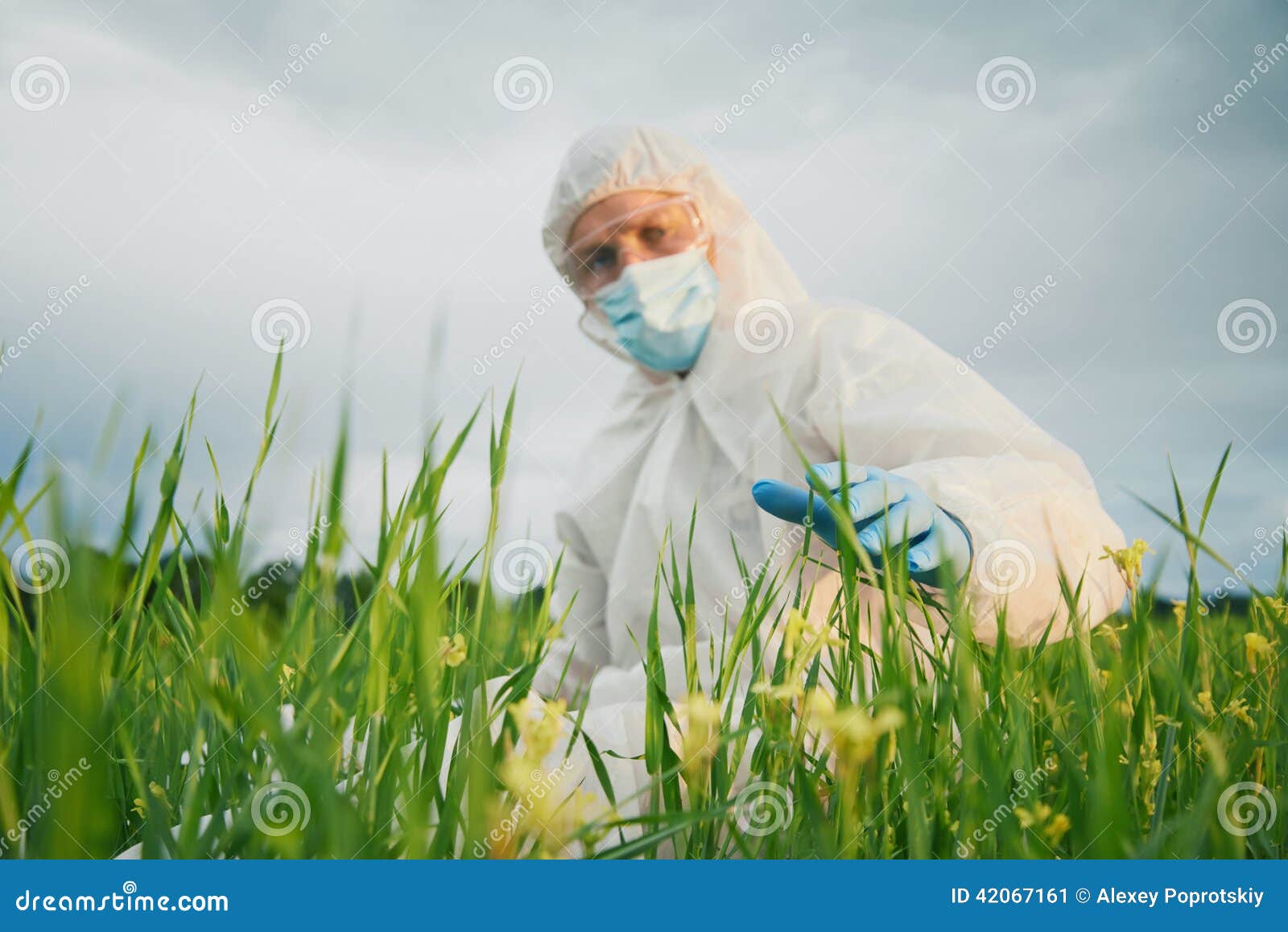 Scientistsits on Summer Field Stock Image - Image of ecology, engineer ...