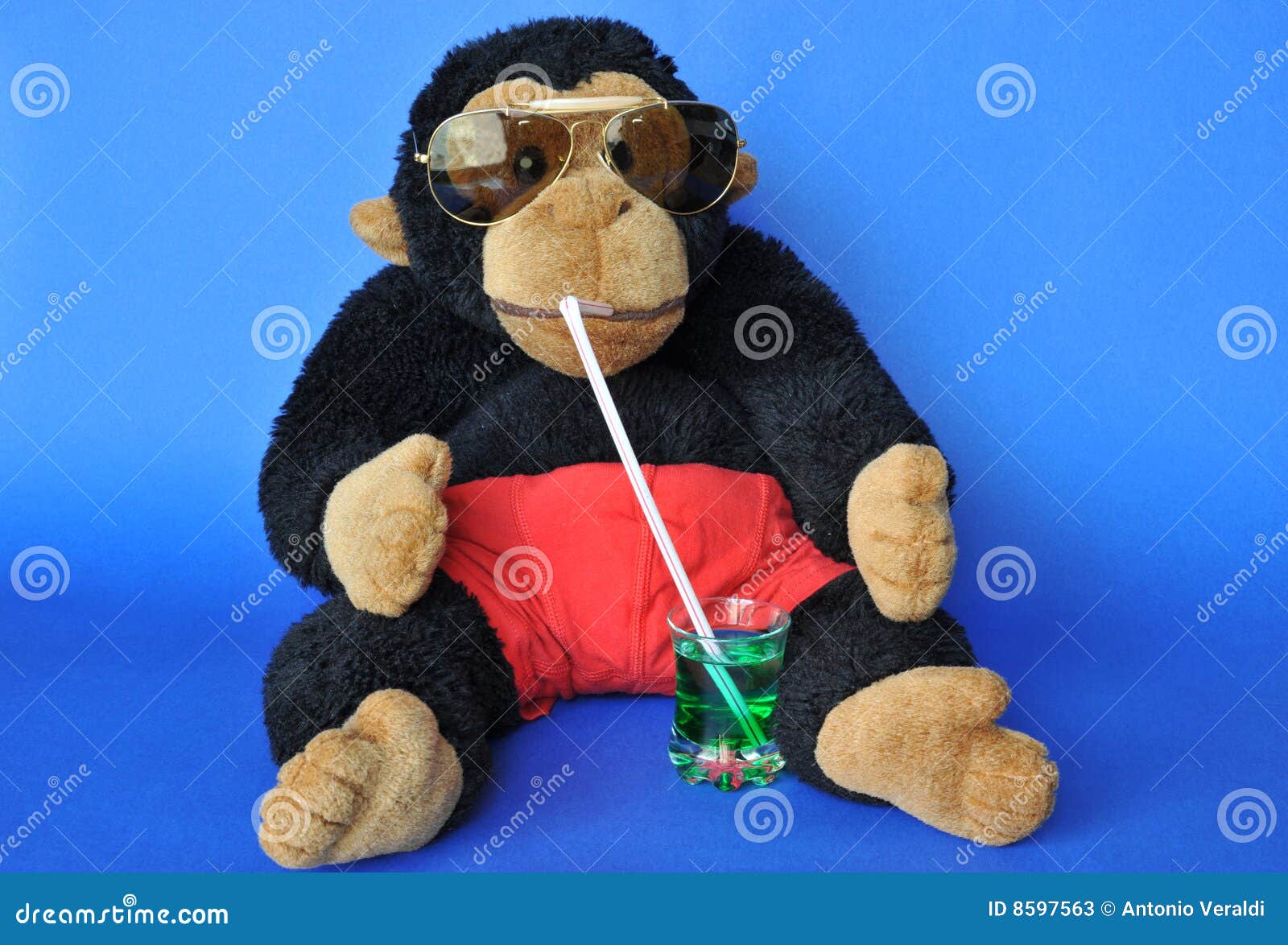 Foto Di Scimmie Con Gli Occhiali - Serra Presidente