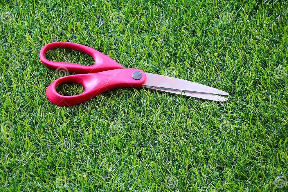 Scissor Red on Artificial Grass Background Stock Image - Image of pair ...