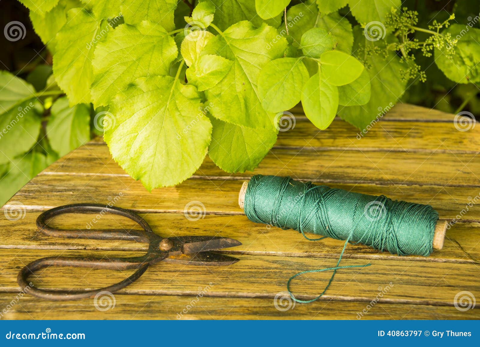 Scissor and string stock image. Image of string, fashioned - 40863797