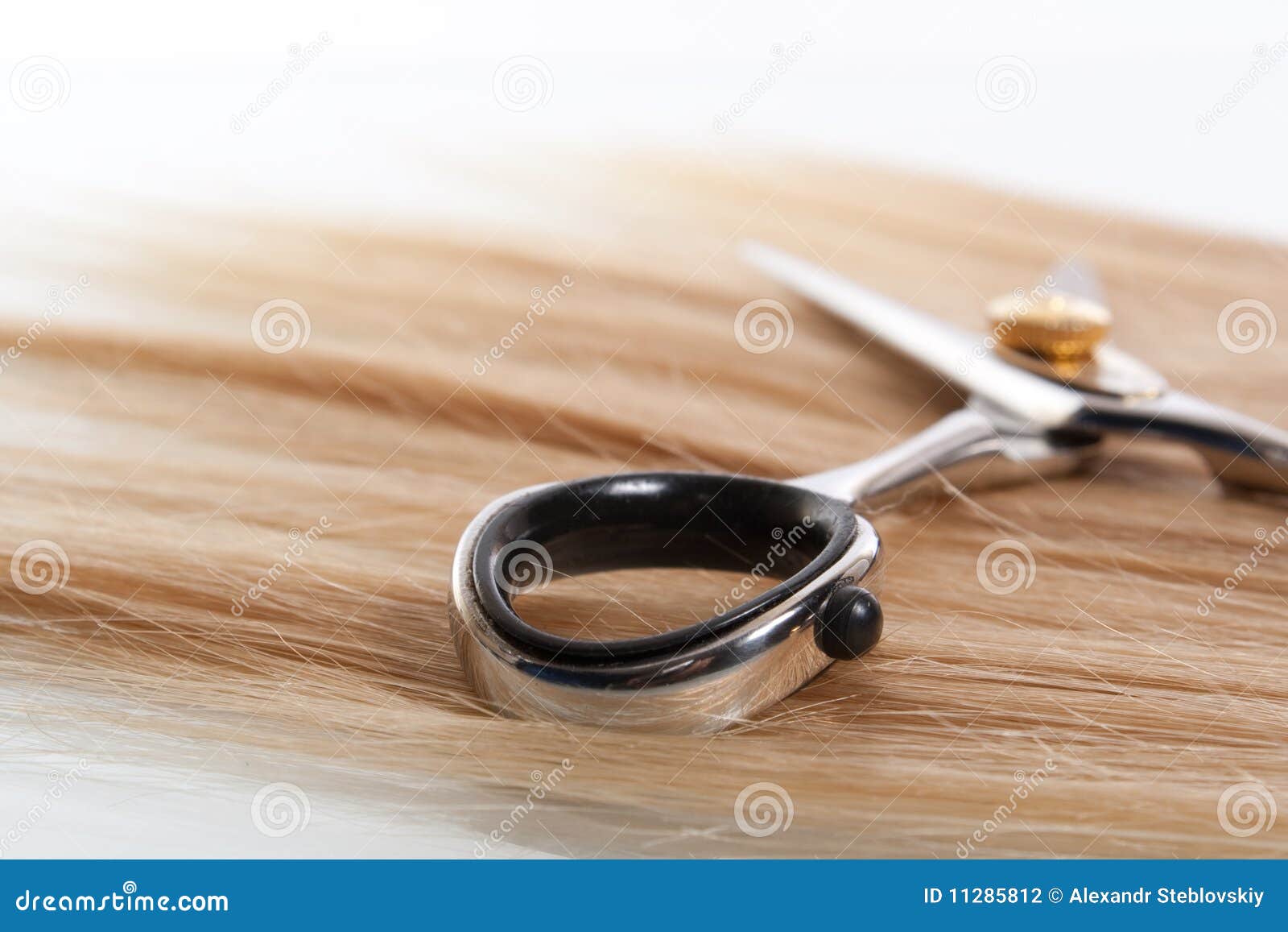 Scissors stock photo. Image of color, human, hair, proffesional - 11285812
