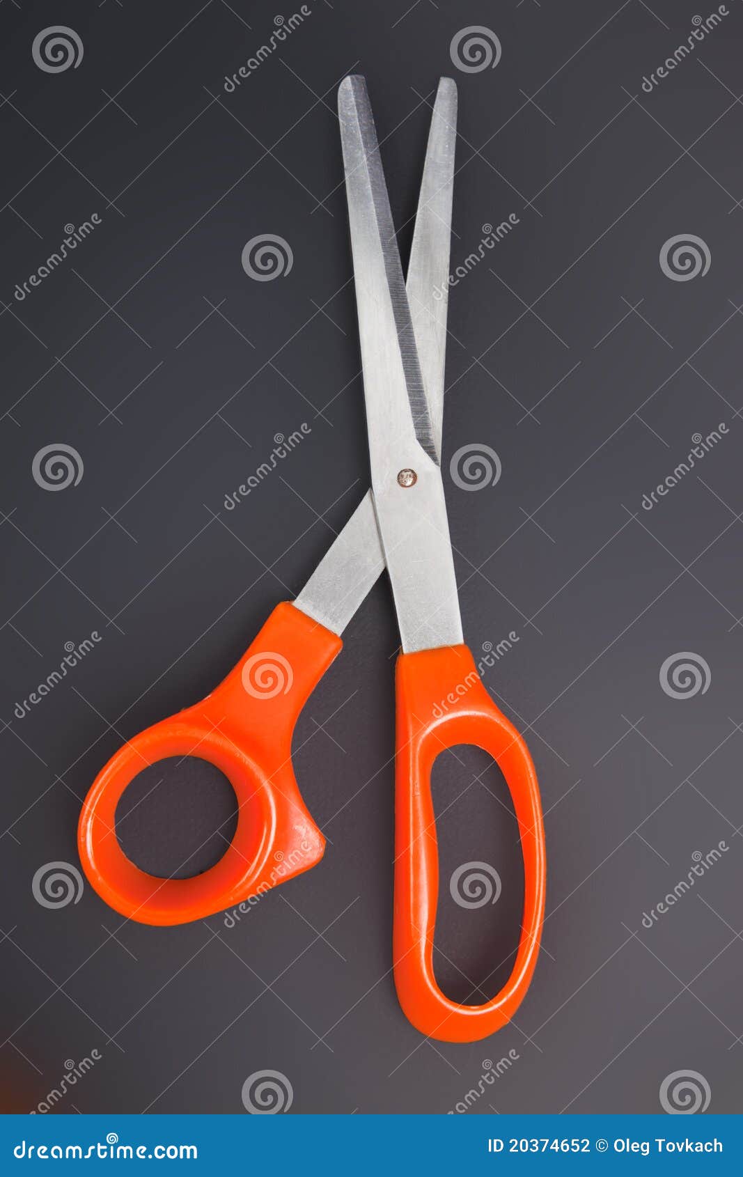 Scissors stock photo. Image of pair, white, blade, isolated - 20374652