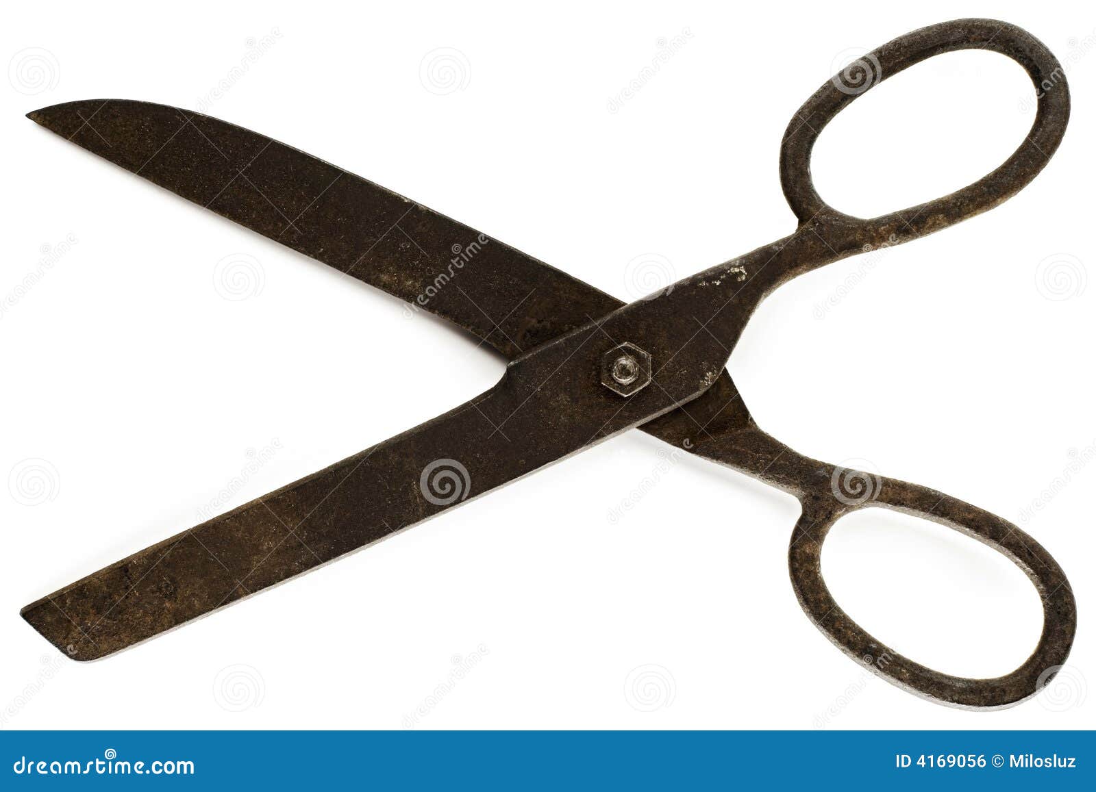 Scissors stock photo. Image of instrument, tool, cutter - 4169056