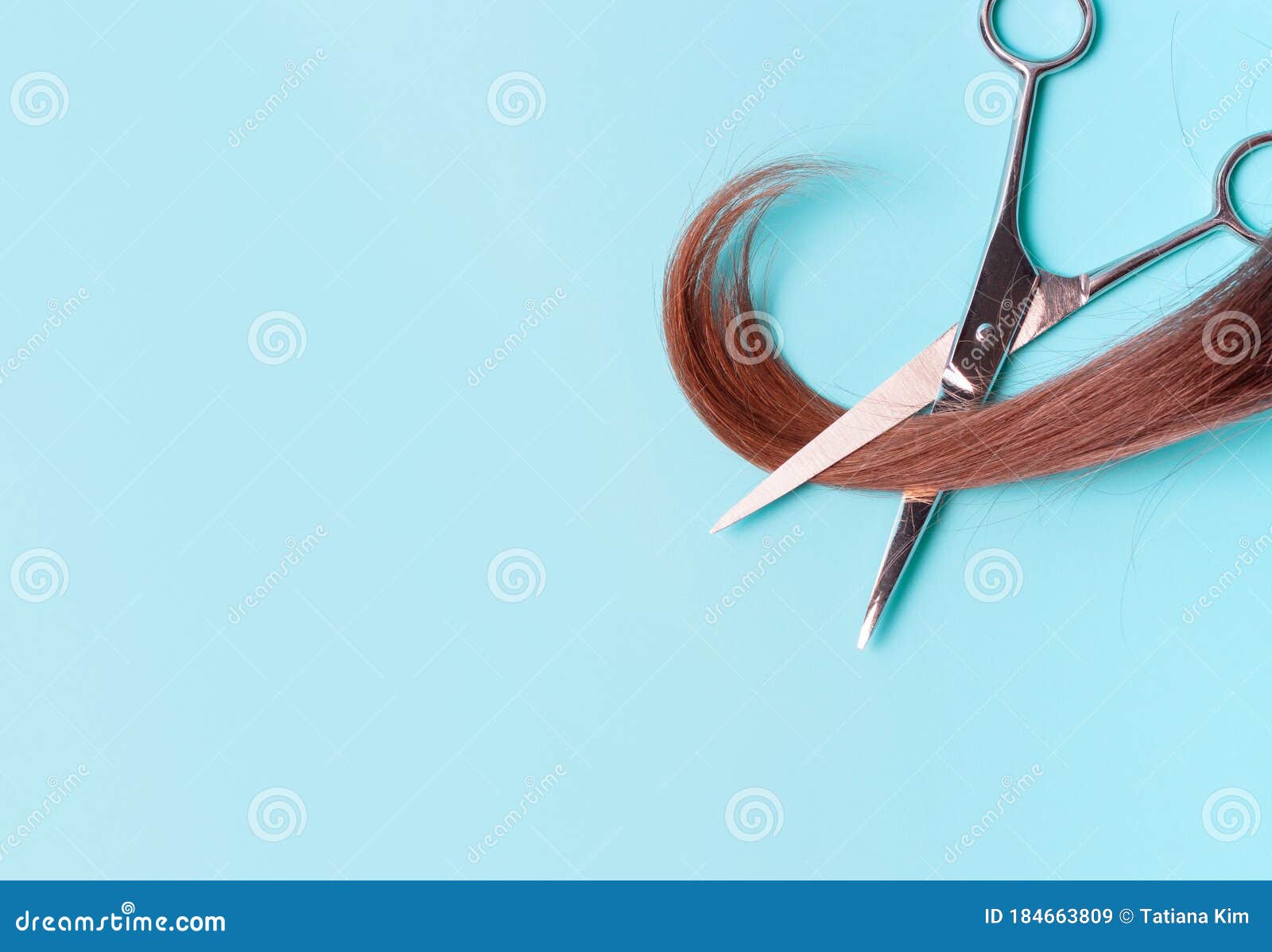 Scissors and a Brown Strand of Split Ends of Hair on Blue Background ...