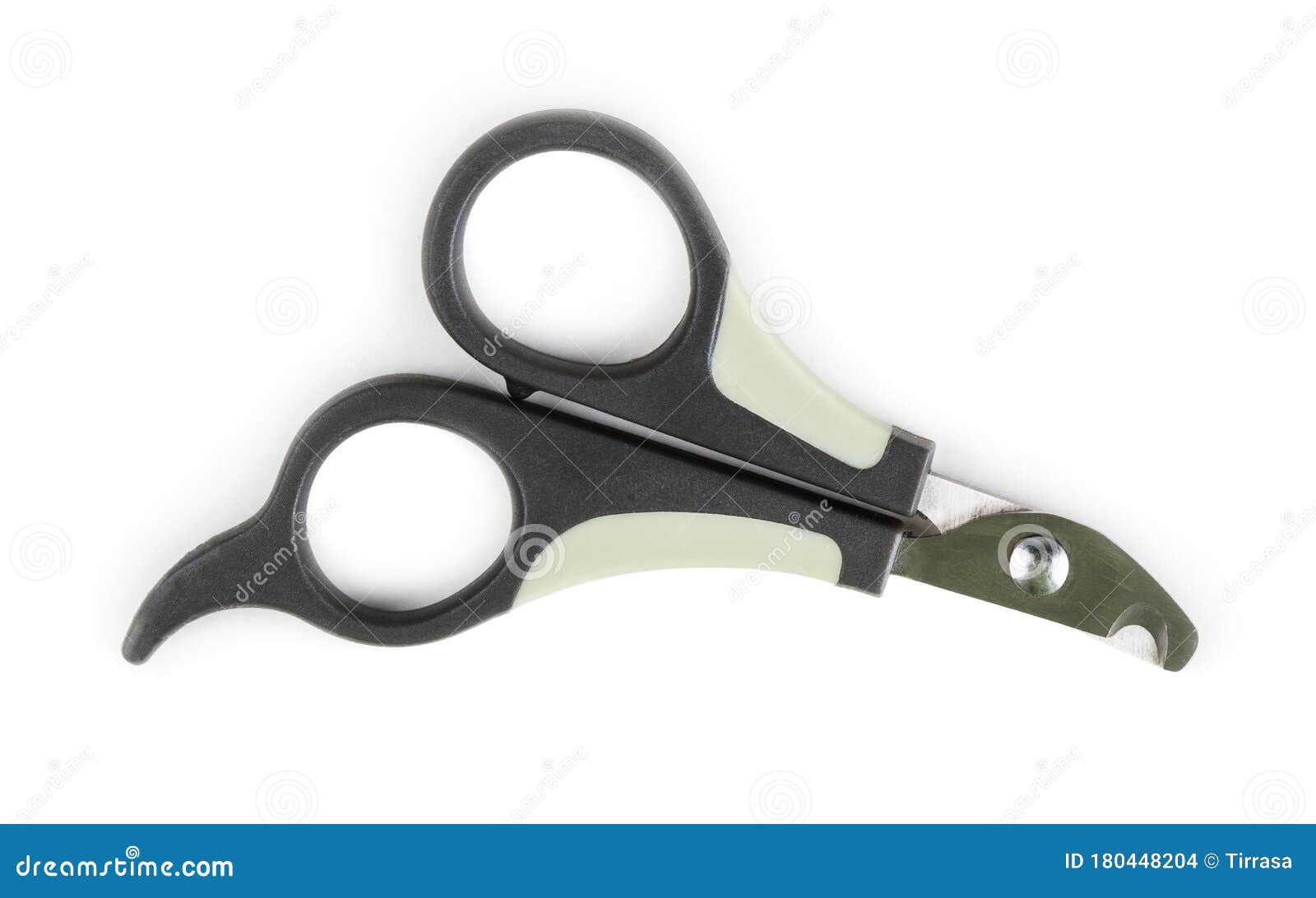 Scissors for pets stock photo. Image of accessory, animal - 180448204