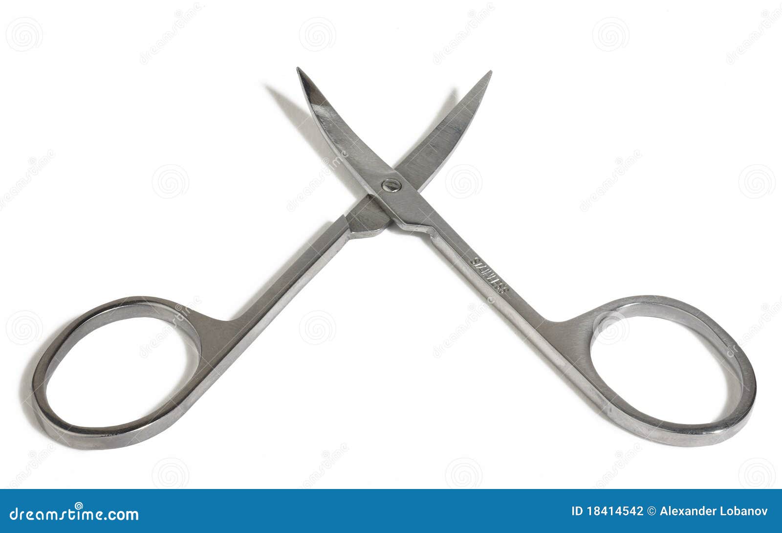 Scissors with Curved Blades. Stock Photo - Image of metal, metallic ...