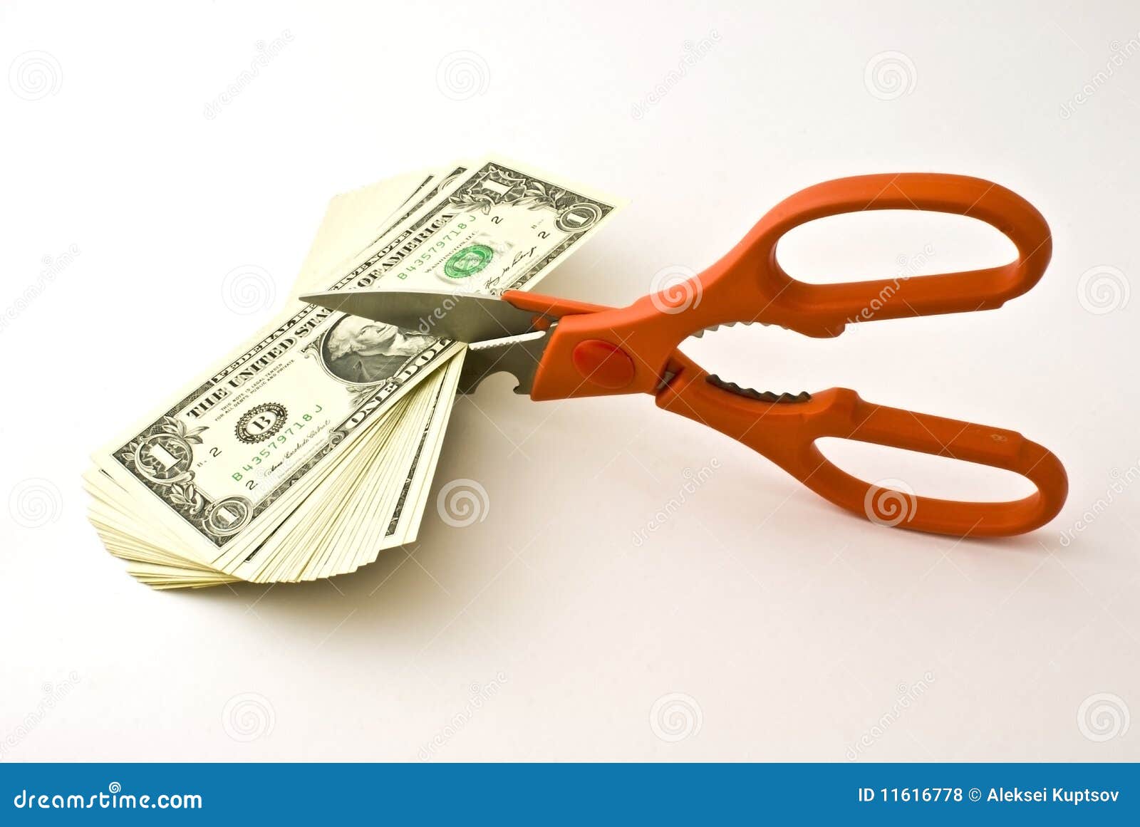 Scissors cut dollars stock photo. Image of scissors, halve - 11616778