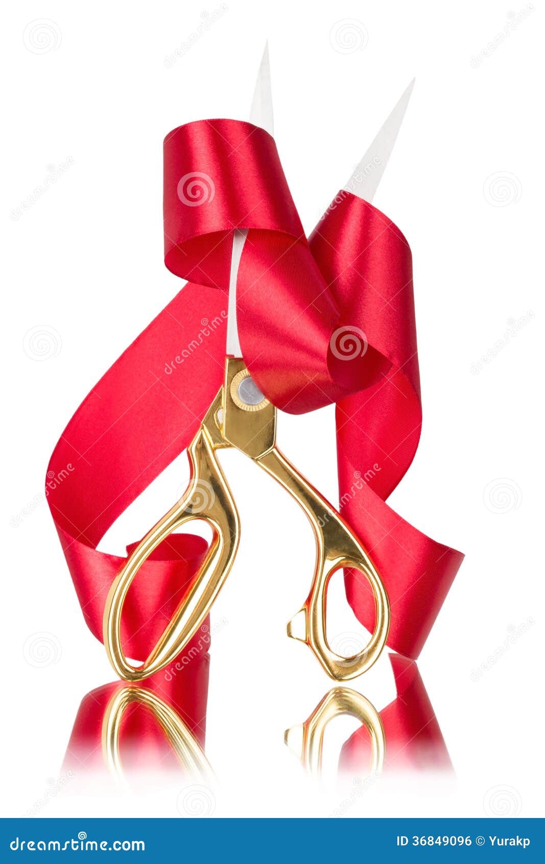 Scissors Cut the Red Ribbon Stock Photo - Image of celebration, opening ...