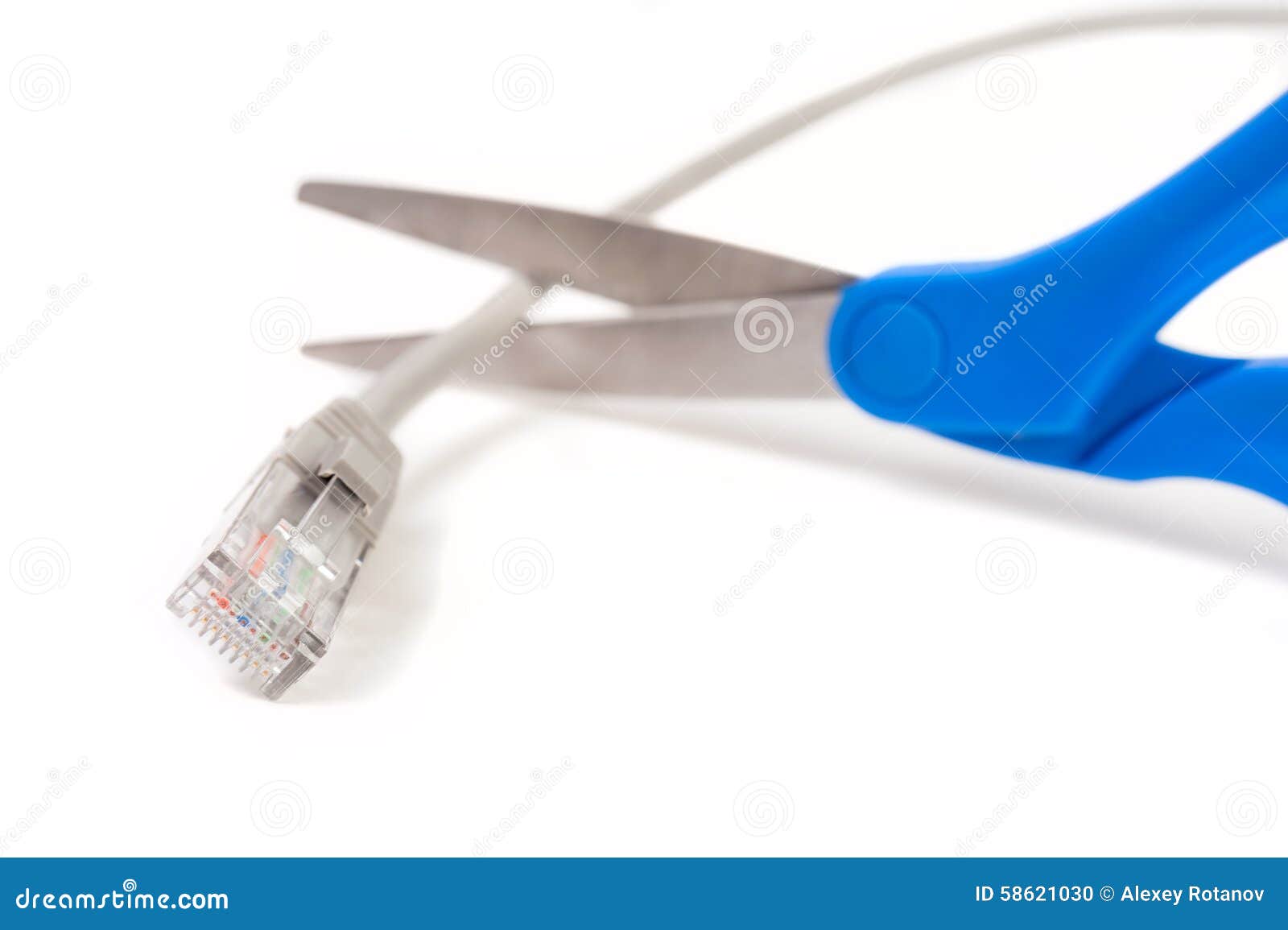 STP LAN CAT5e Cable Wires Shaped Like A Hand Are Holding A Cable With ...