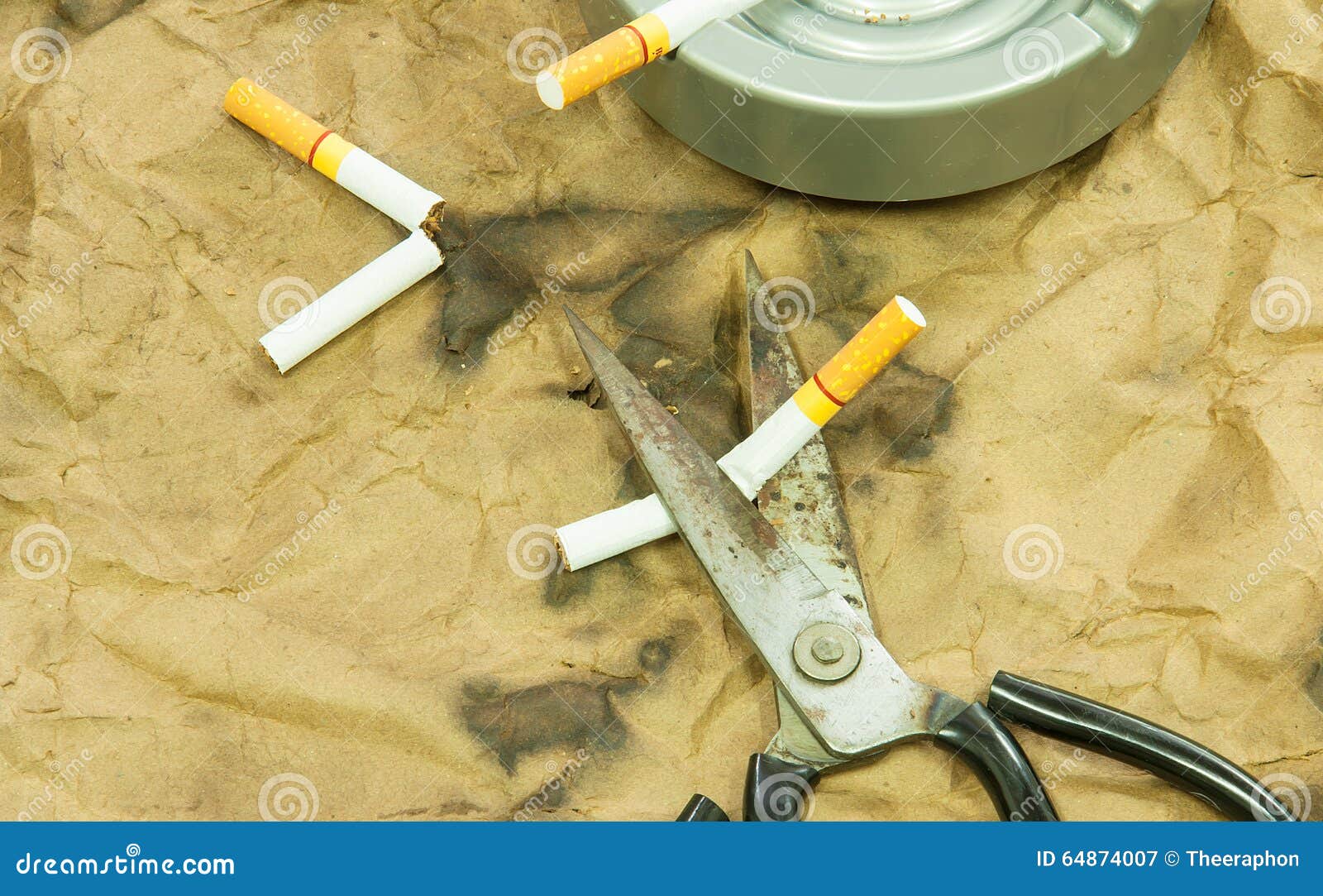 Scissors are Cutting a Cigarette Stock Image - Image of filter ...