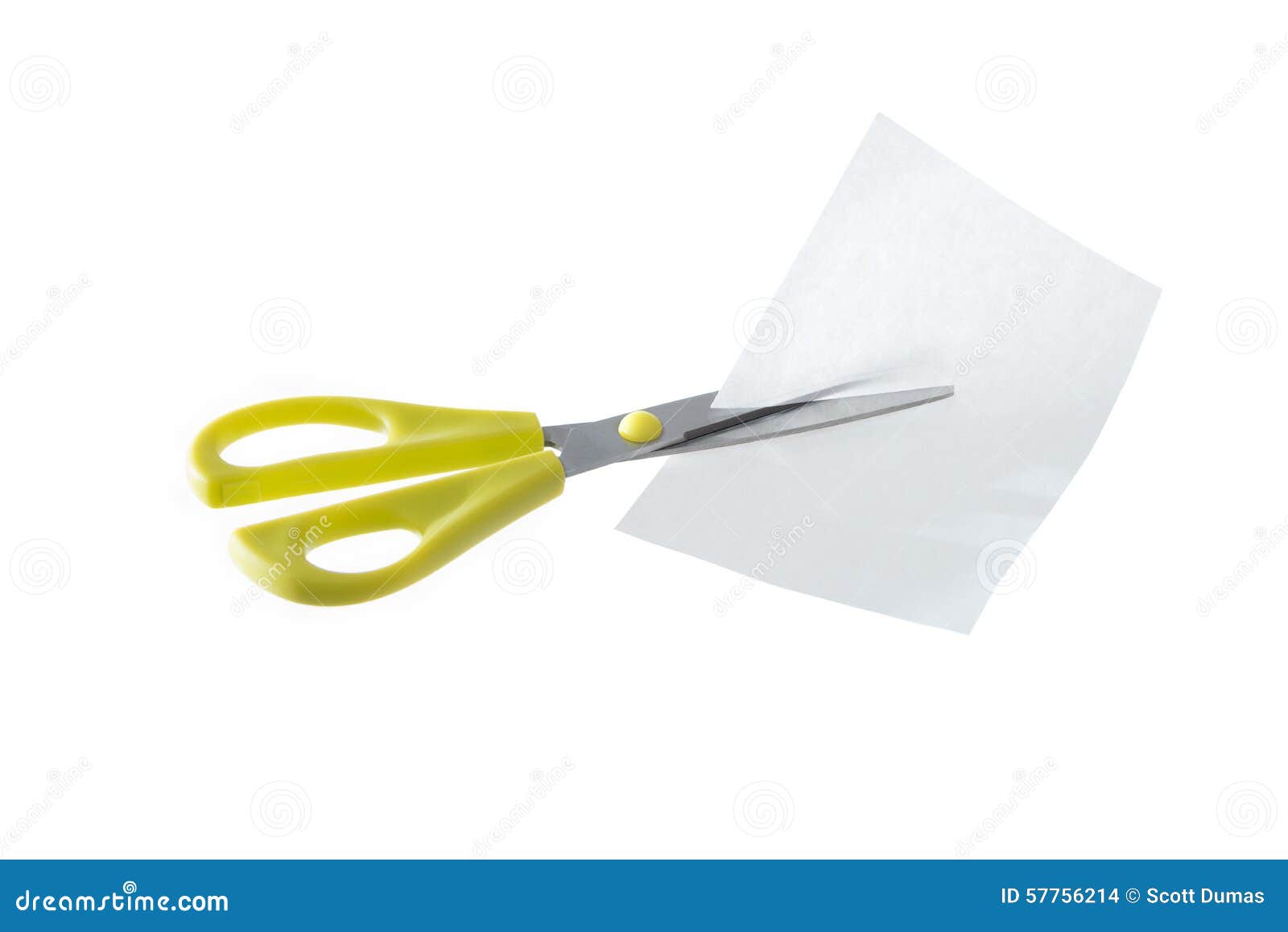 Scissors Cutting Paper stock photo. Image of supply, studio - 57756214