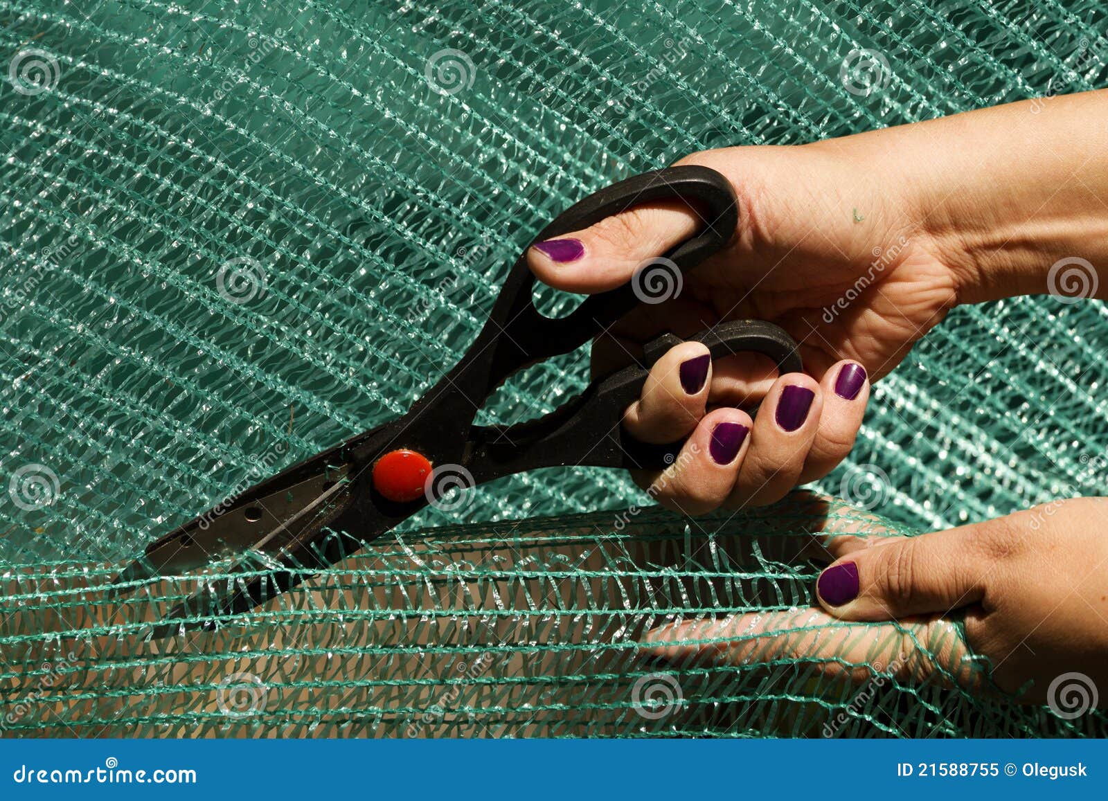 Scissors cutting process stock image. Image of female - 21588755