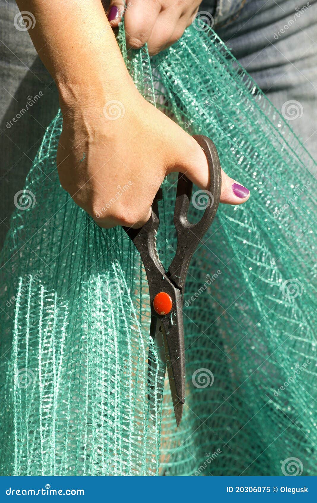 Scissors hand tool stock image. Image of blade, cutting - 20306075