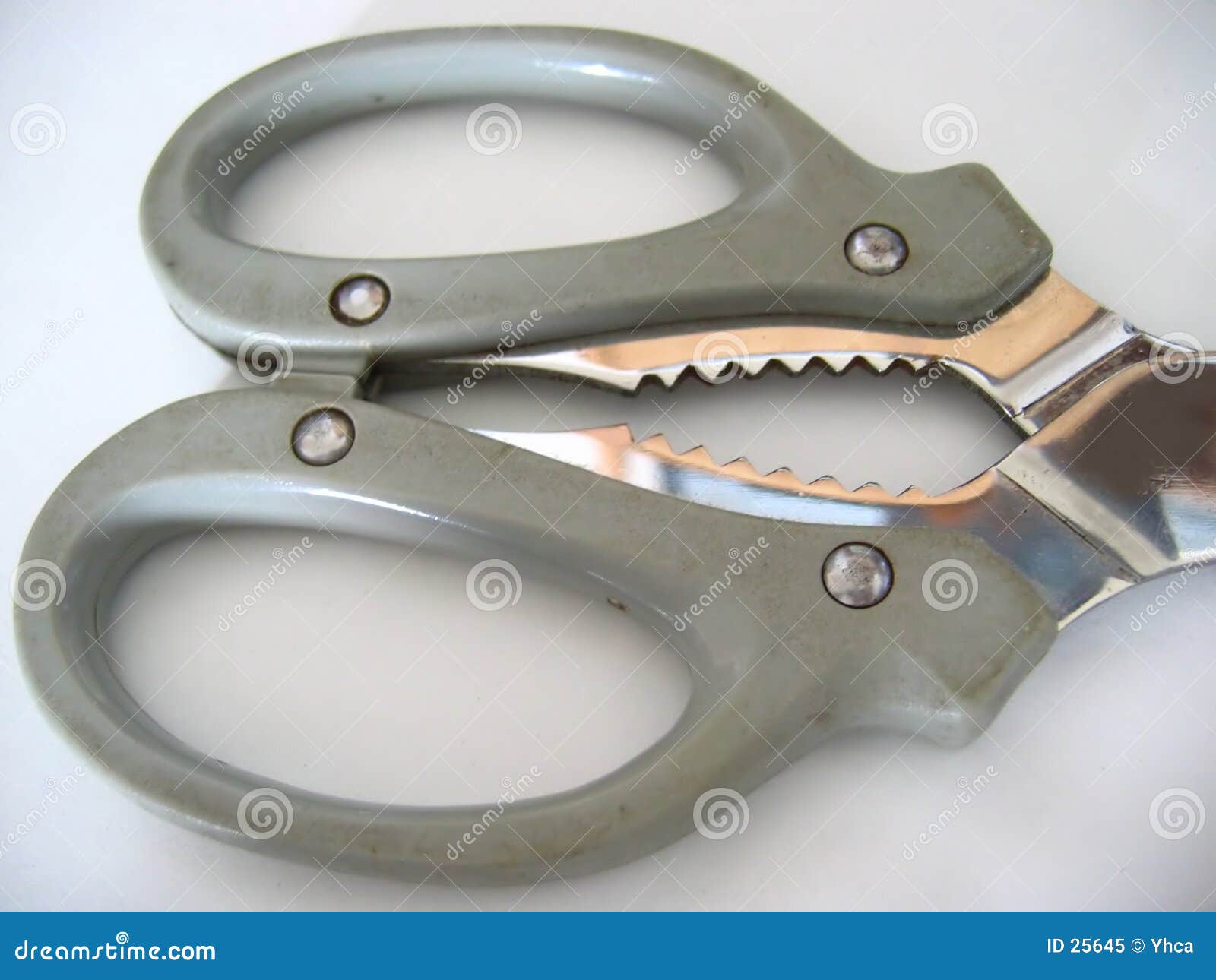 Scissors handle stock image. Image of handle, sharp, tool - 25645