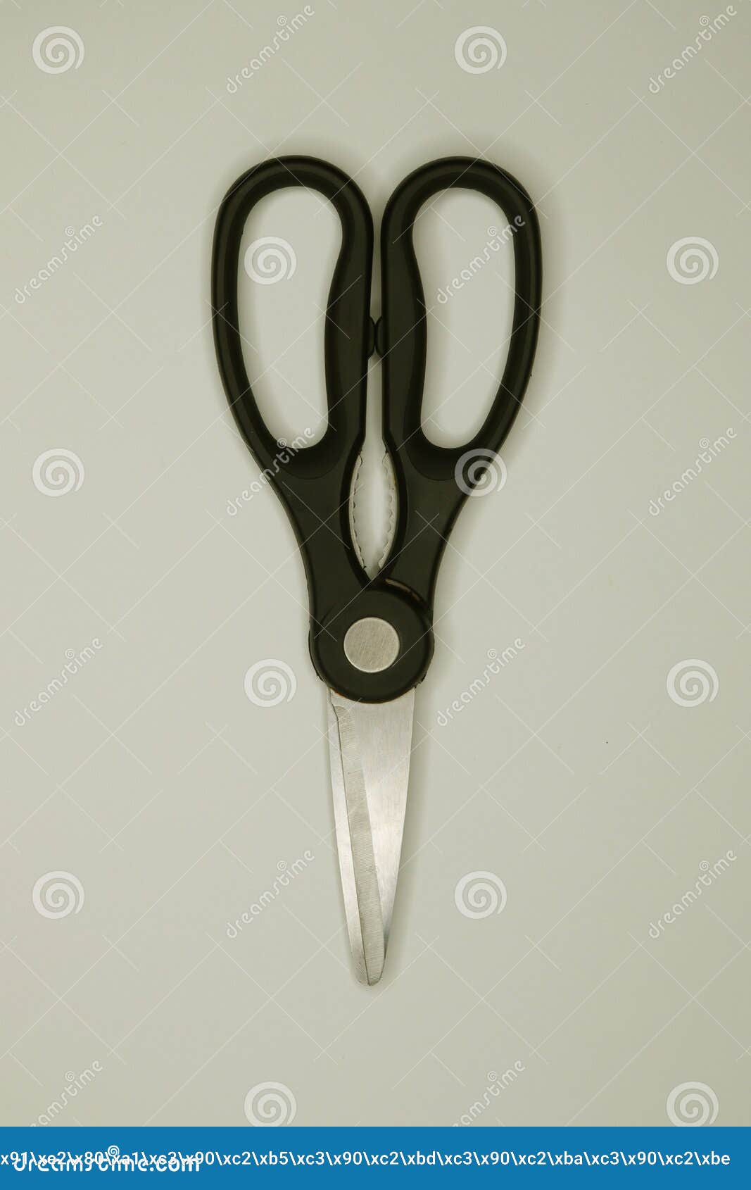 Scissors isolated stock image. Image of isolated, scissors - 203742623