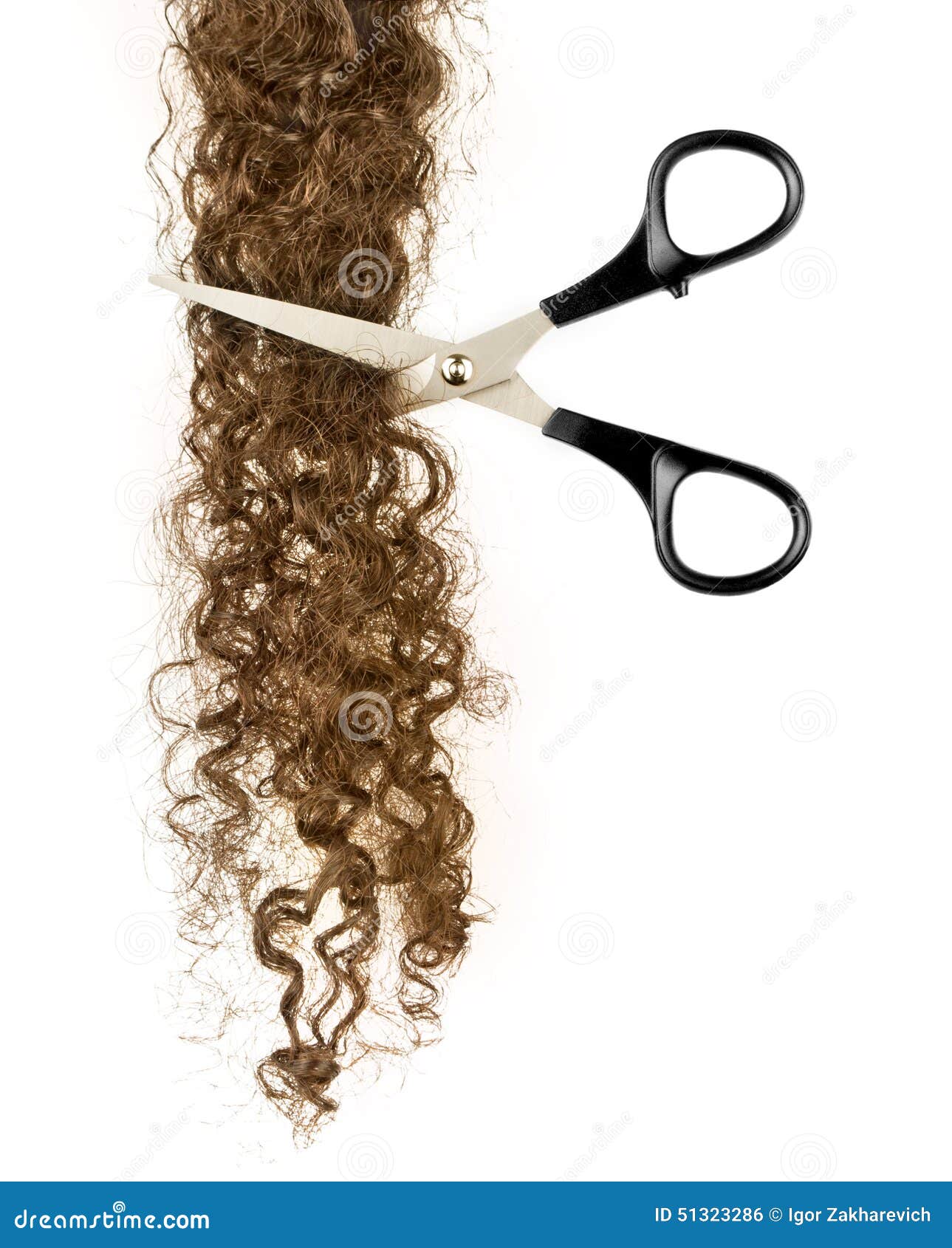 Scissors and lock of hair stock photo. Image of color - 51323286