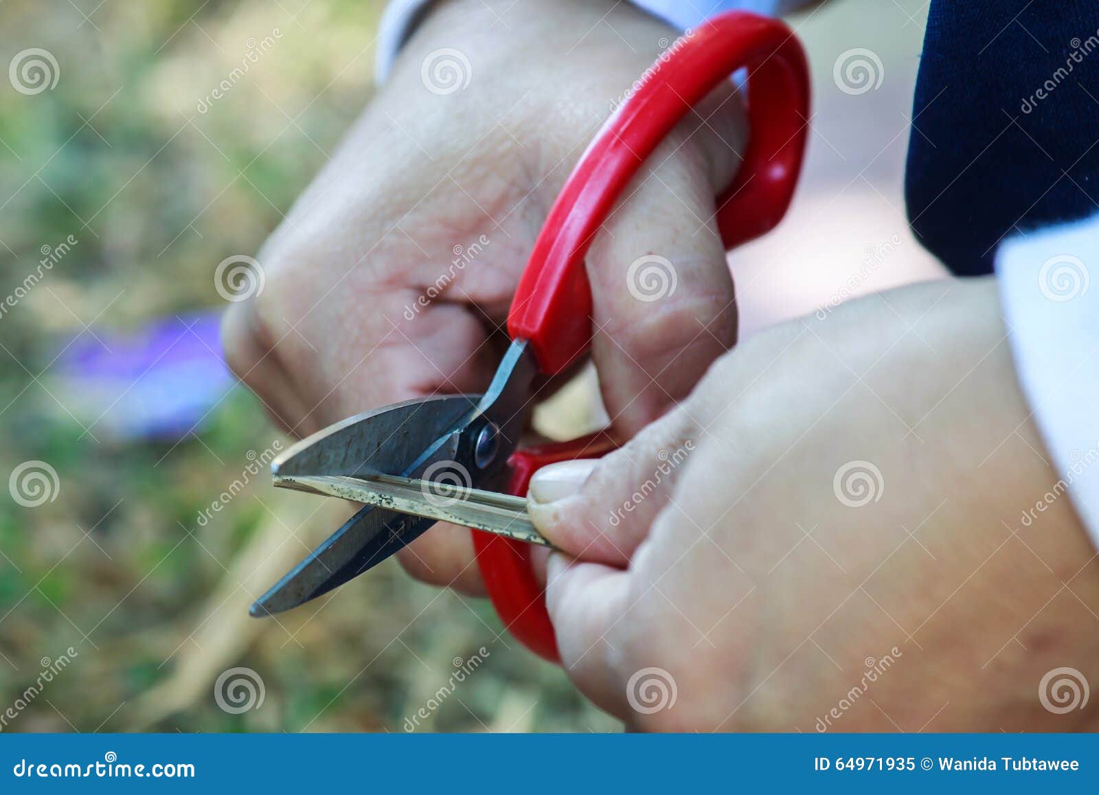 Scissors, Scissors Cut Paper, Hand. Stock Image - Image of education ...