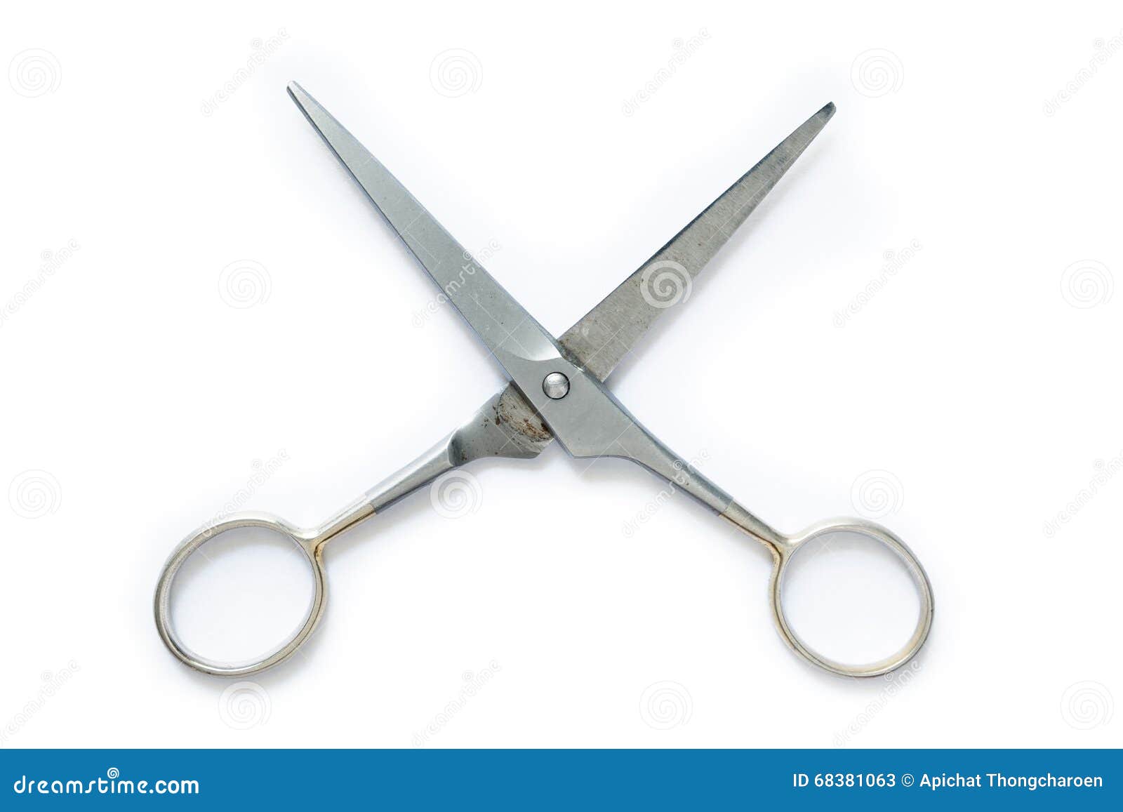 Scissors on White Background Stock Image - Image of stainless, isolated ...