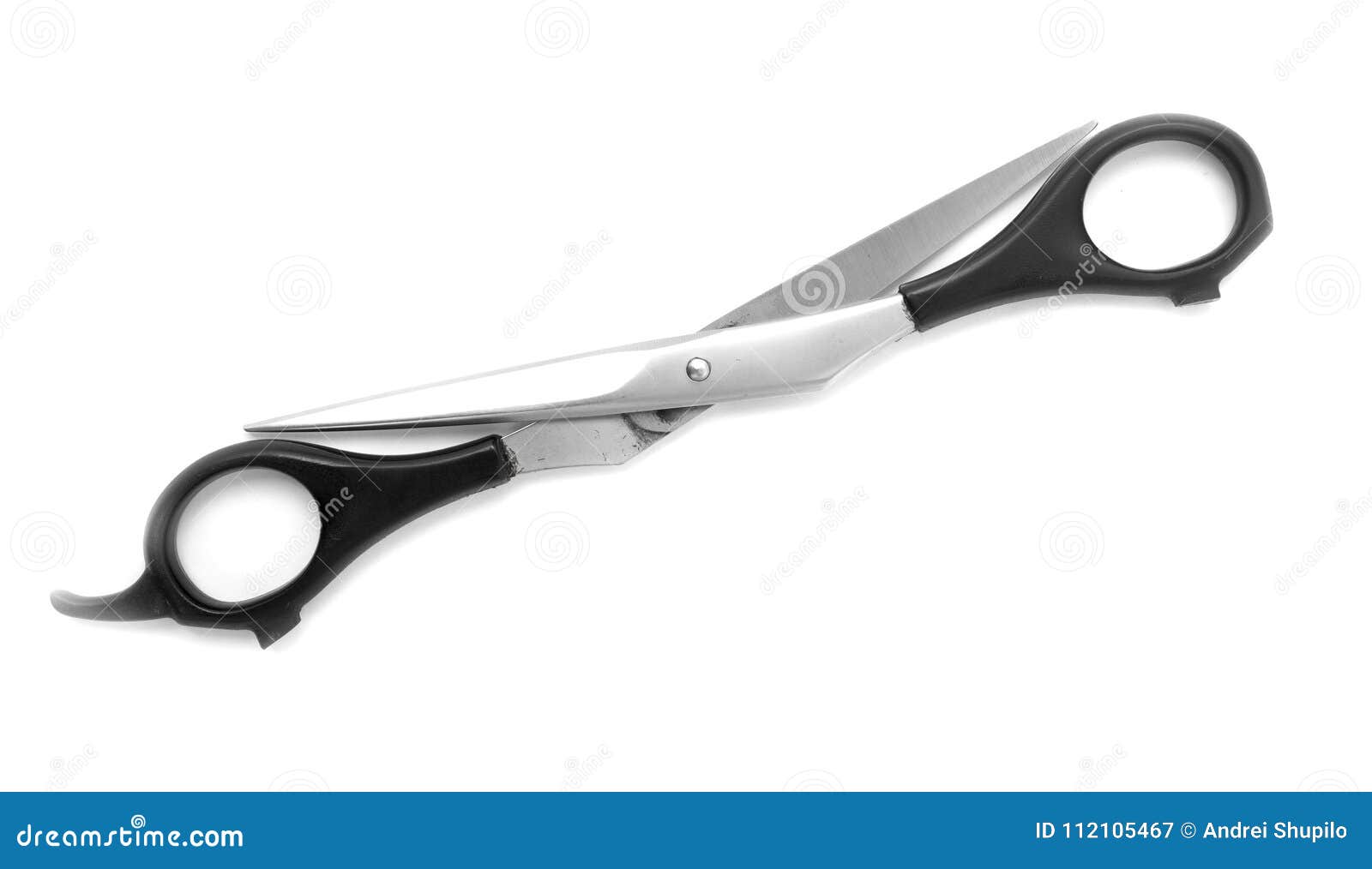 Scissors on a White Background Stock Image - Image of isolated ...