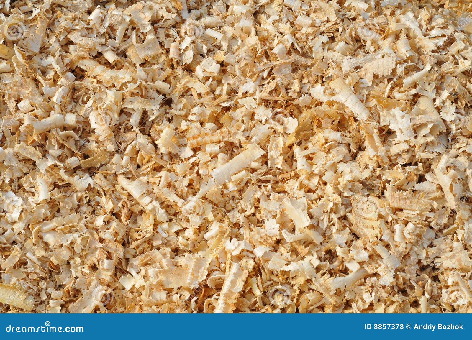 Sciure photo stock. Image du scie, fond, menuiserie, configuration ...