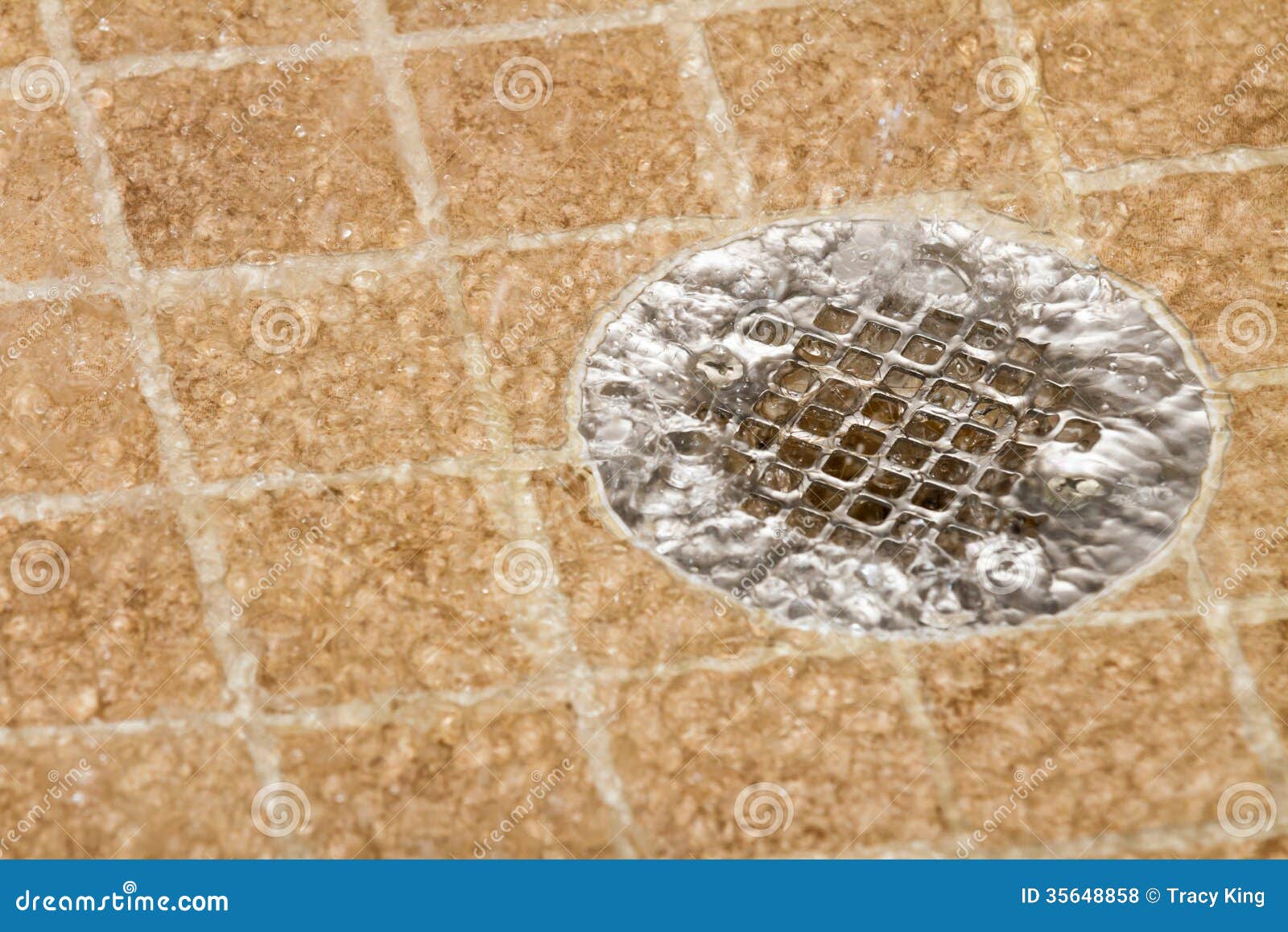 Scolo Della Doccia Con Acqua in Fotografia Stock - Immagine di dell ...