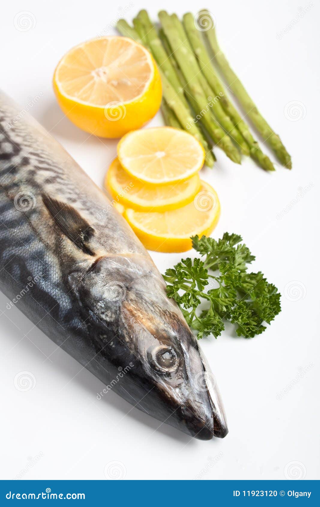Scombro grezzo su bianco fotografia stock. Immagine di cottura - 11923120