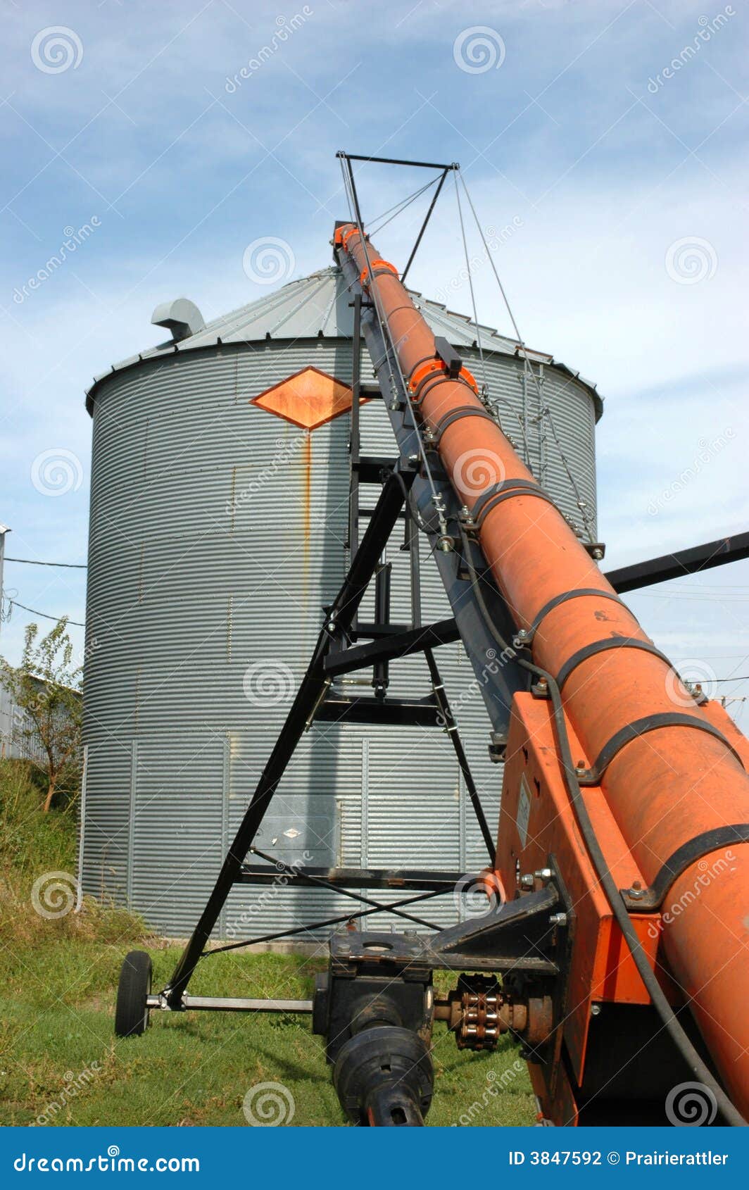 Scomparto Del Granulo E Della Coclea Durante La Raccolta Fotografia ...