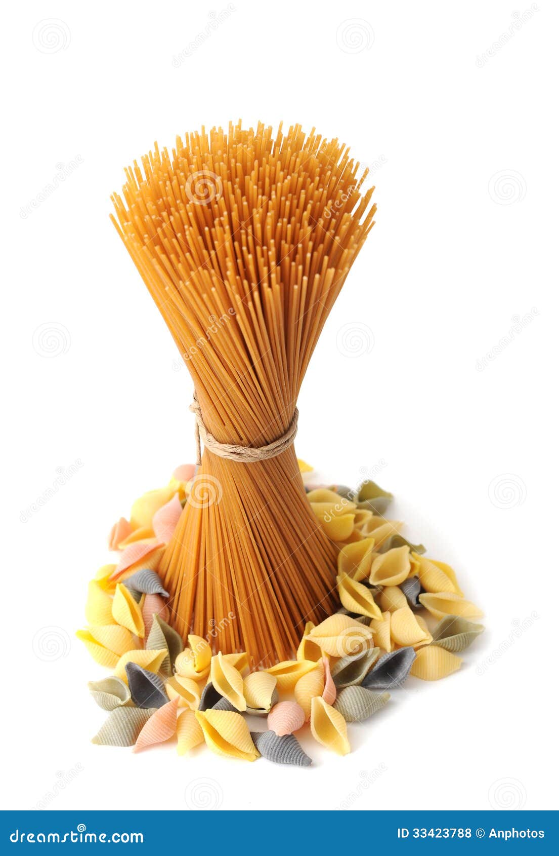 Sconcigli Seashell Pasta Shape Stock Photo - Image of cuisine, cook ...