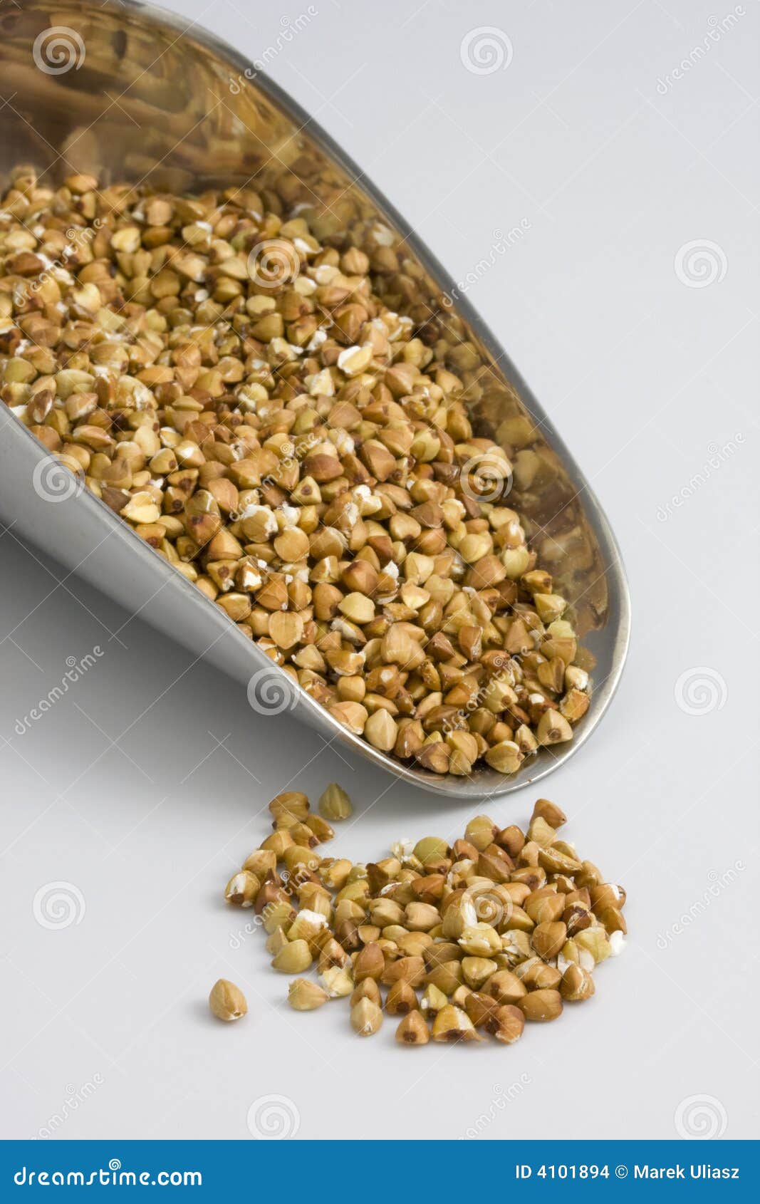 Scoop of Buckwheat (kasha), Toasted Whole Grain Stock Photo - Image of ...