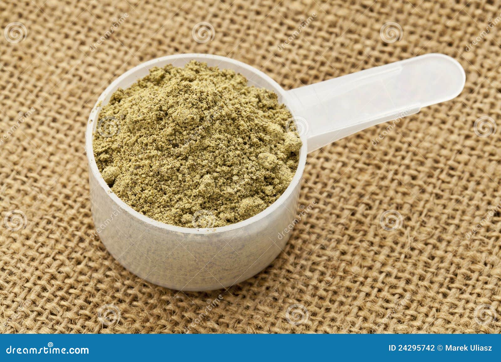 Scoop of Hemp Protein Powder Stock Photo - Image of protein, hemp: 24295742