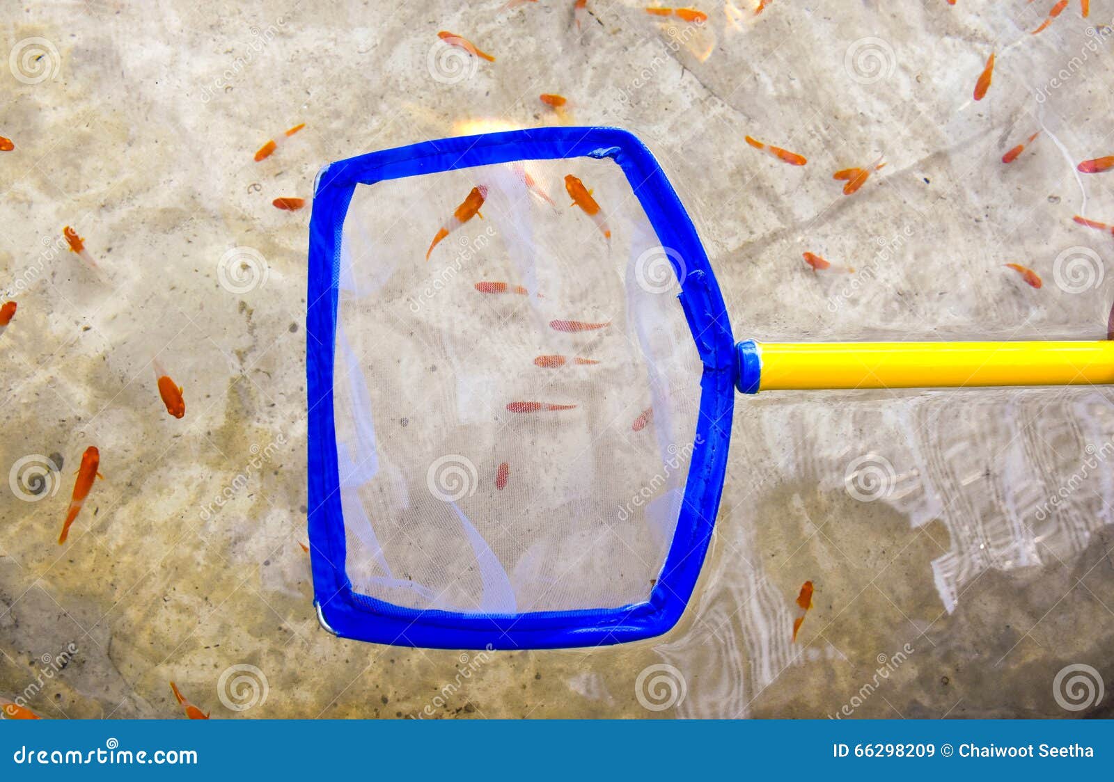 Scoop net fishing stock image. Image of scoop, accessory - 66298209