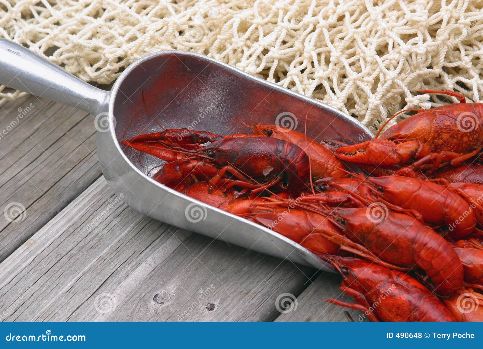 Scooped Up Boiled Crawfish stock photo. Image of scoop - 490648