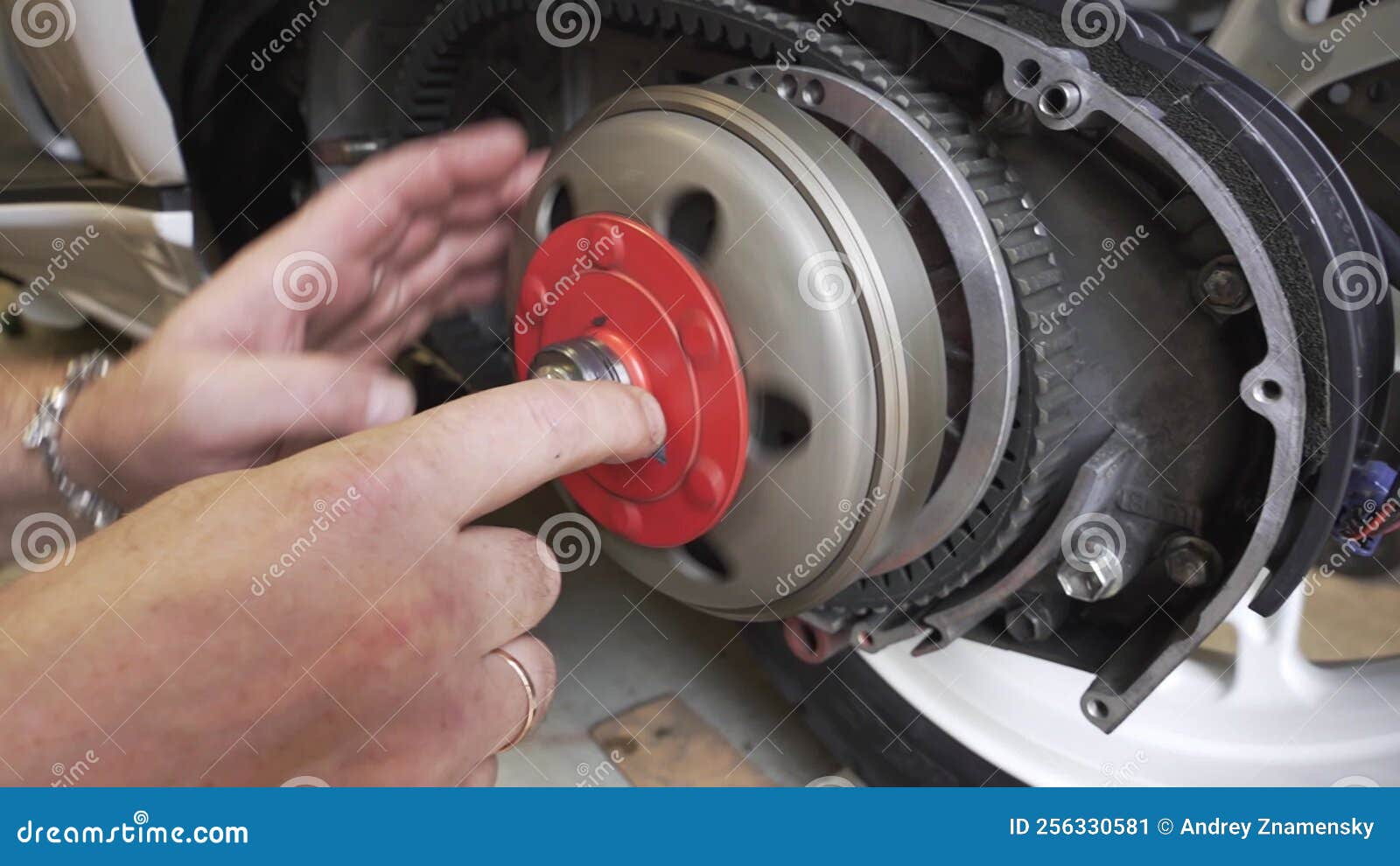 Scooter Variator, Torque Driver. Belt Replacement Pulley Transmission ...