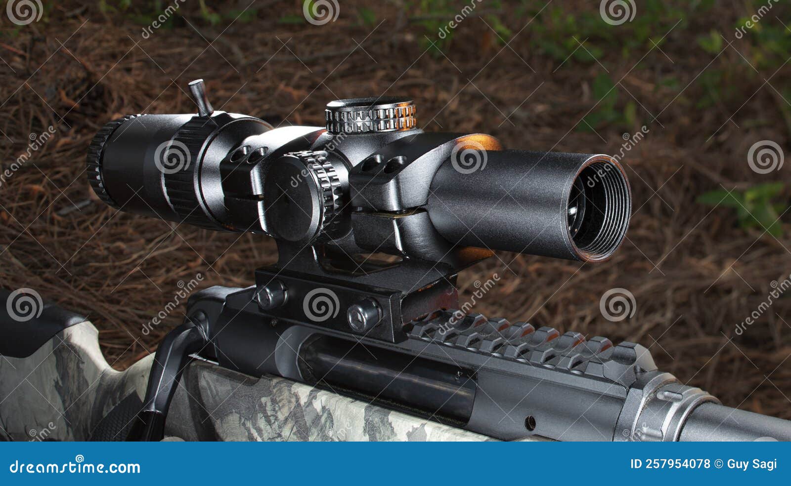 Scope Sight on a Hunting Rifle Outdoors Stock Photo - Image of hunting ...