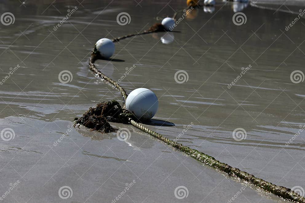 Scope the life stock photo. Image of buoy, cord, beach - 55537820