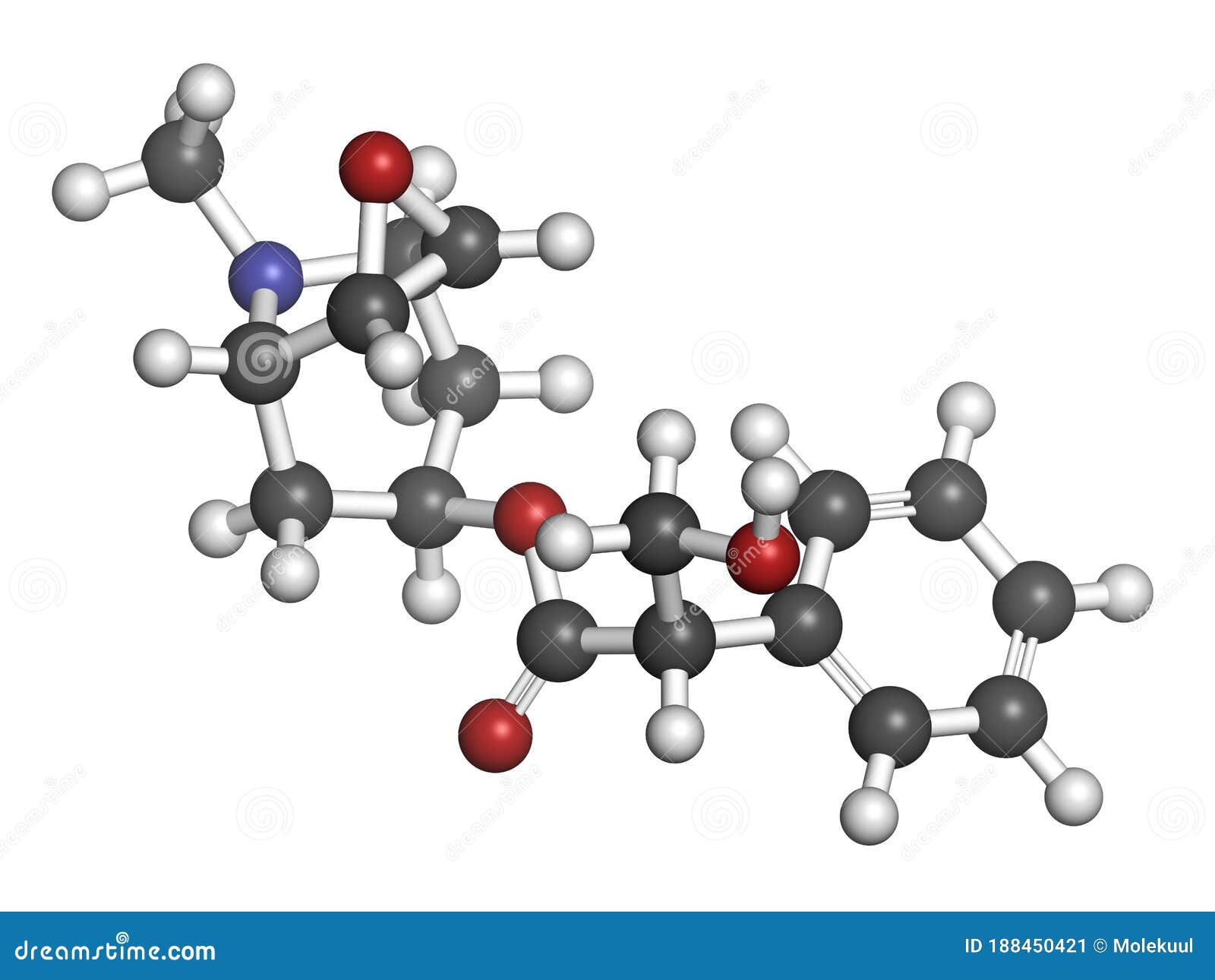 Scopolamine Molecule 3d Rendering Flat Molecular Structure With