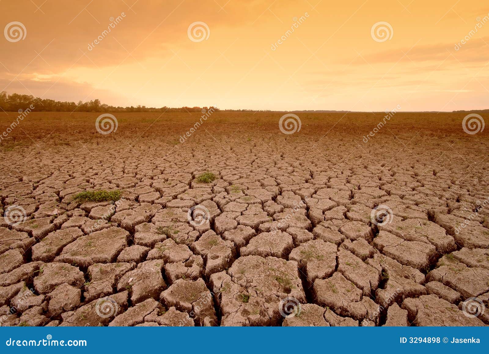 Scorched earth stock photo. Image of croatia, crack, grass - 3294898