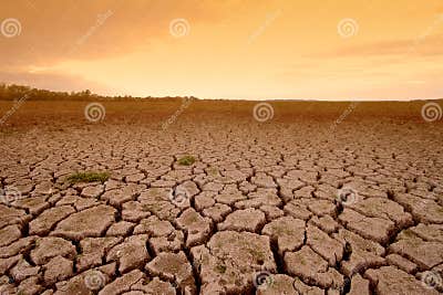 Scorched earth stock photo. Image of croatia, crack, grass - 3294898