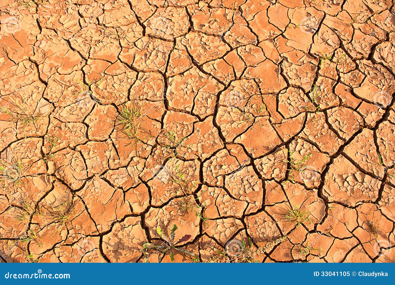 Scorched earth. stock image. Image of color, drought - 33041105