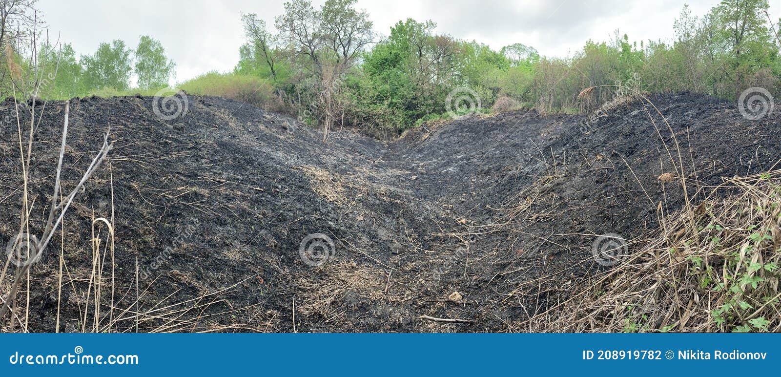 Scorched earth after fire stock photo. Image of ground - 208919782