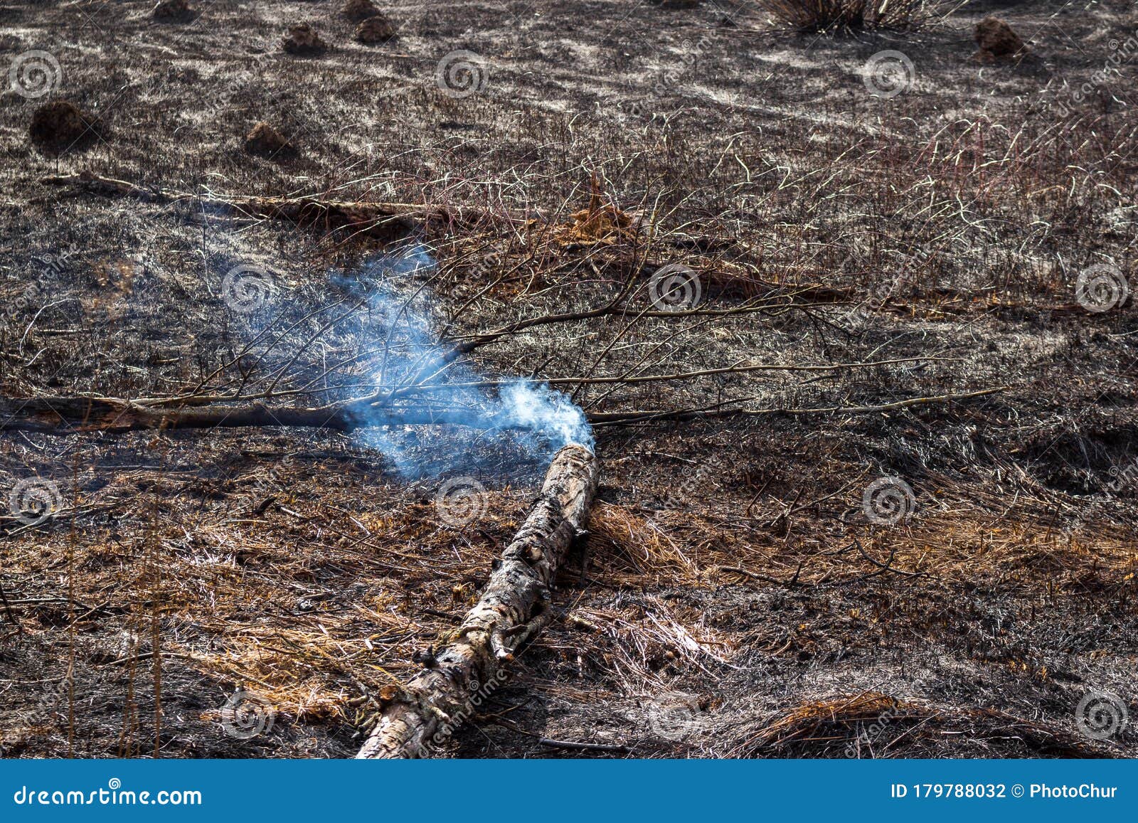 Scorched Field after Spring Grass Fall Stock Photo - Image of smoke ...