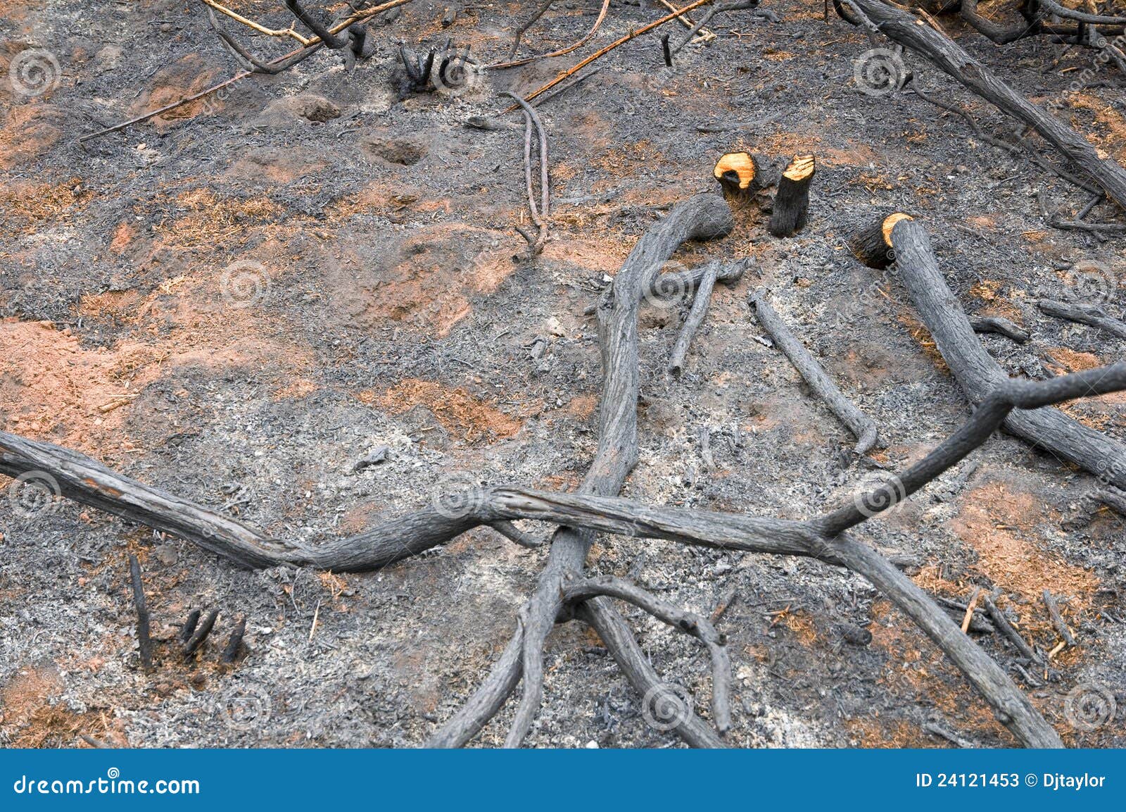 Scorched ground stock image. Image of arid, burnt, drained - 24121453