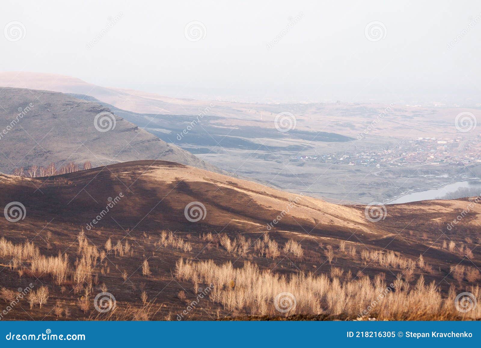 Scorched Ground after Big Fire. Stock Image - Image of tree, sunlight ...