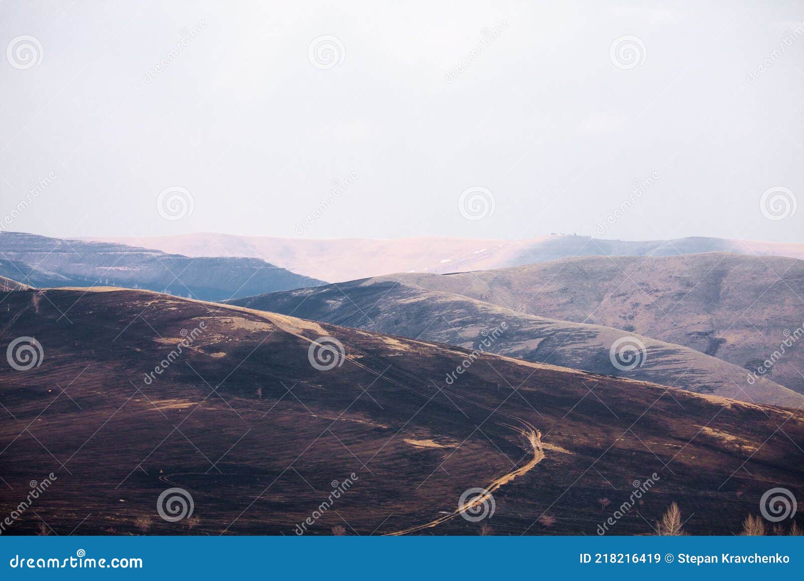 Scorched Ground after Big Fire. Stock Image - Image of lavender ...