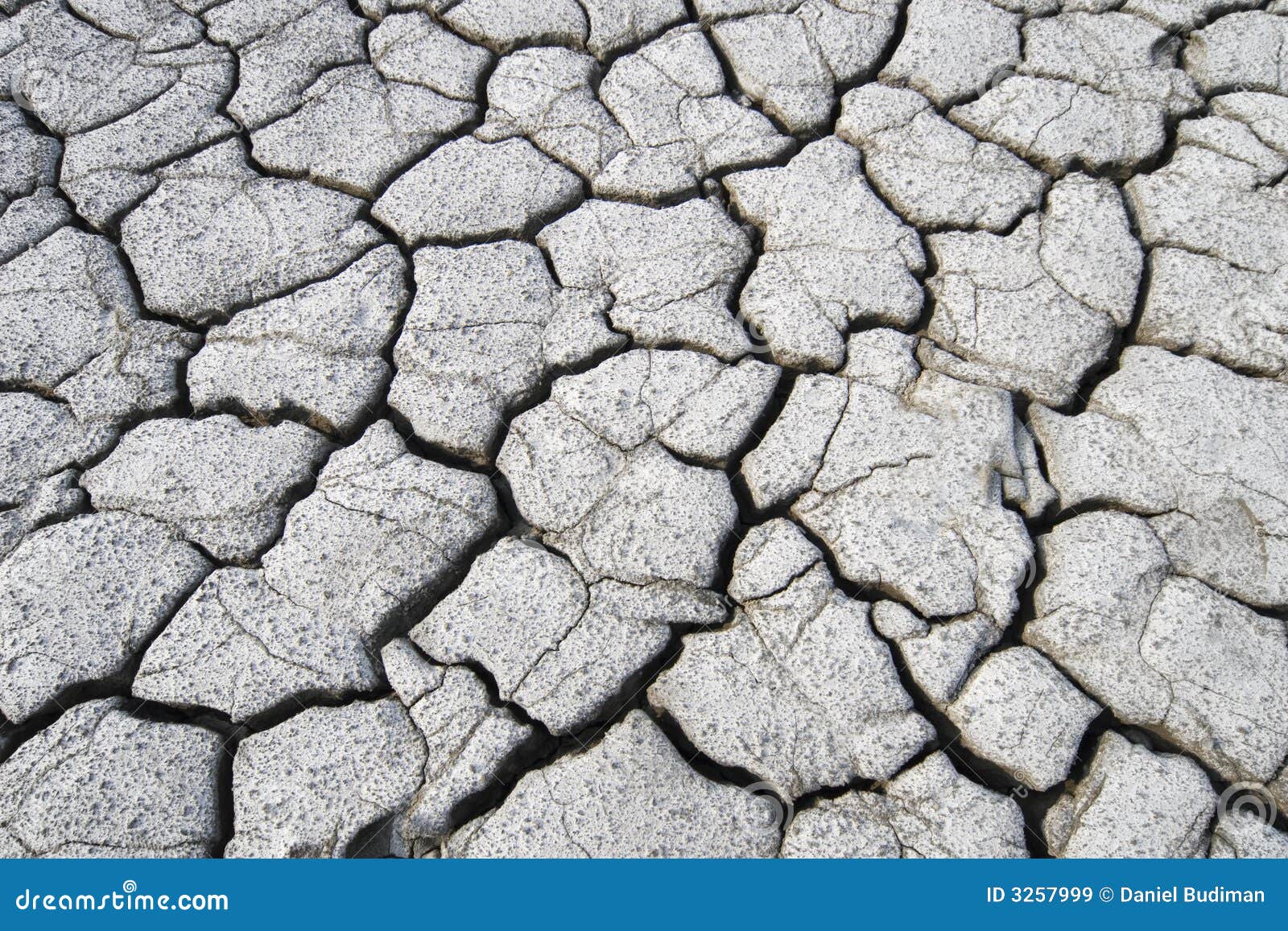 Scorched land close up stock image. Image of death, dust - 3257999